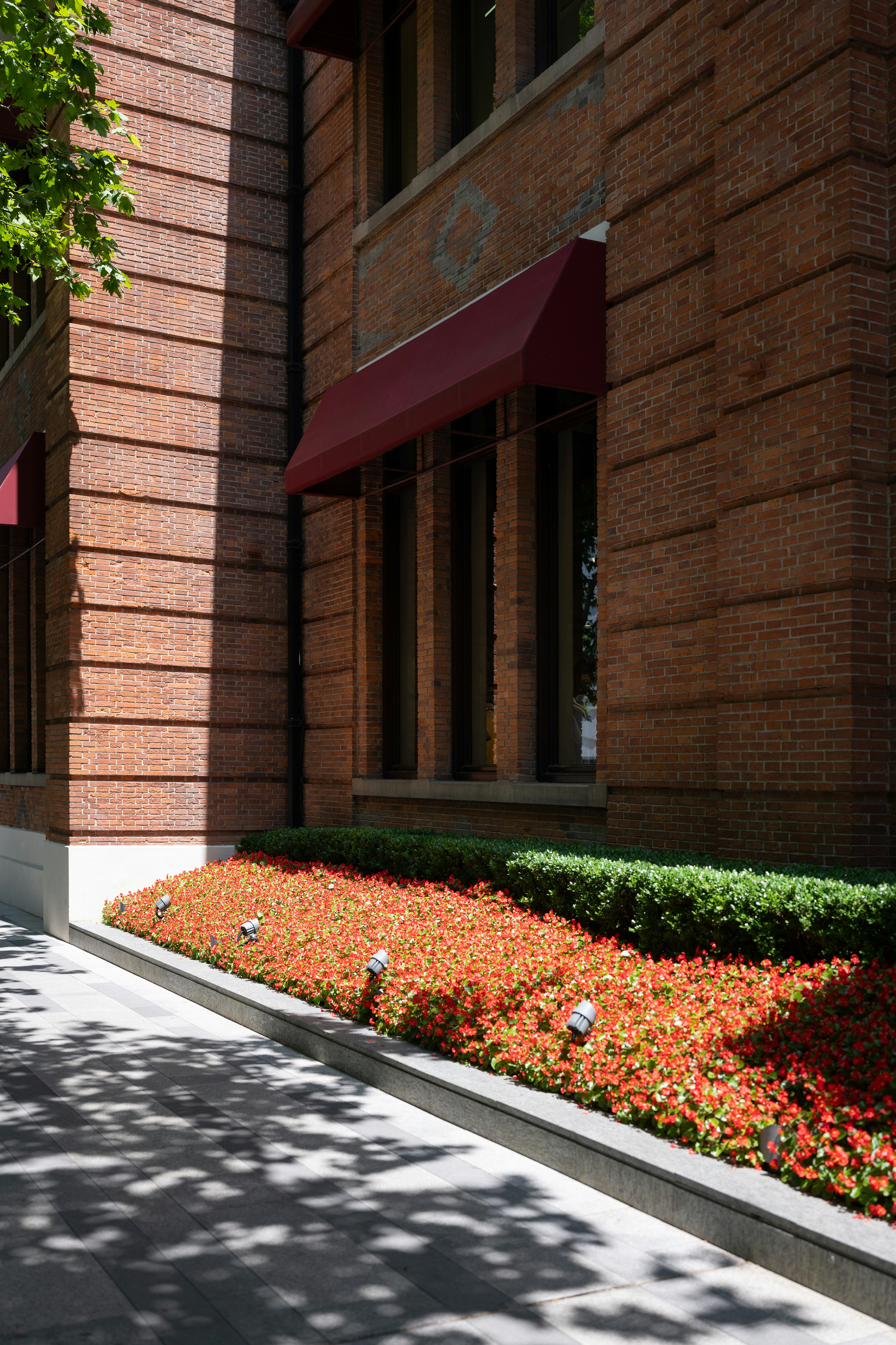 Brick Facade Framed by Crimson Awnings and a Sunset-Red Flower Border