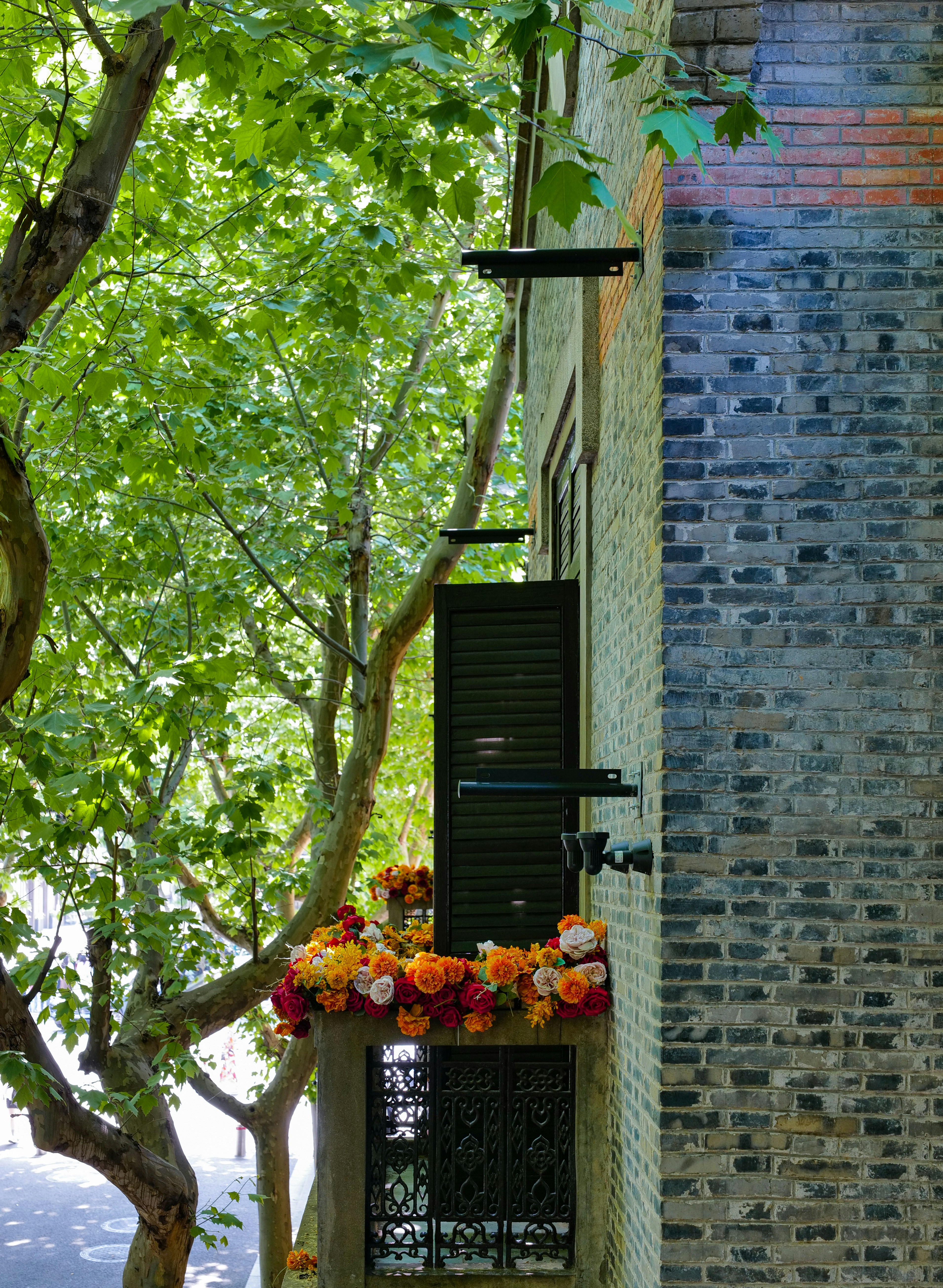 flowers on building terrace