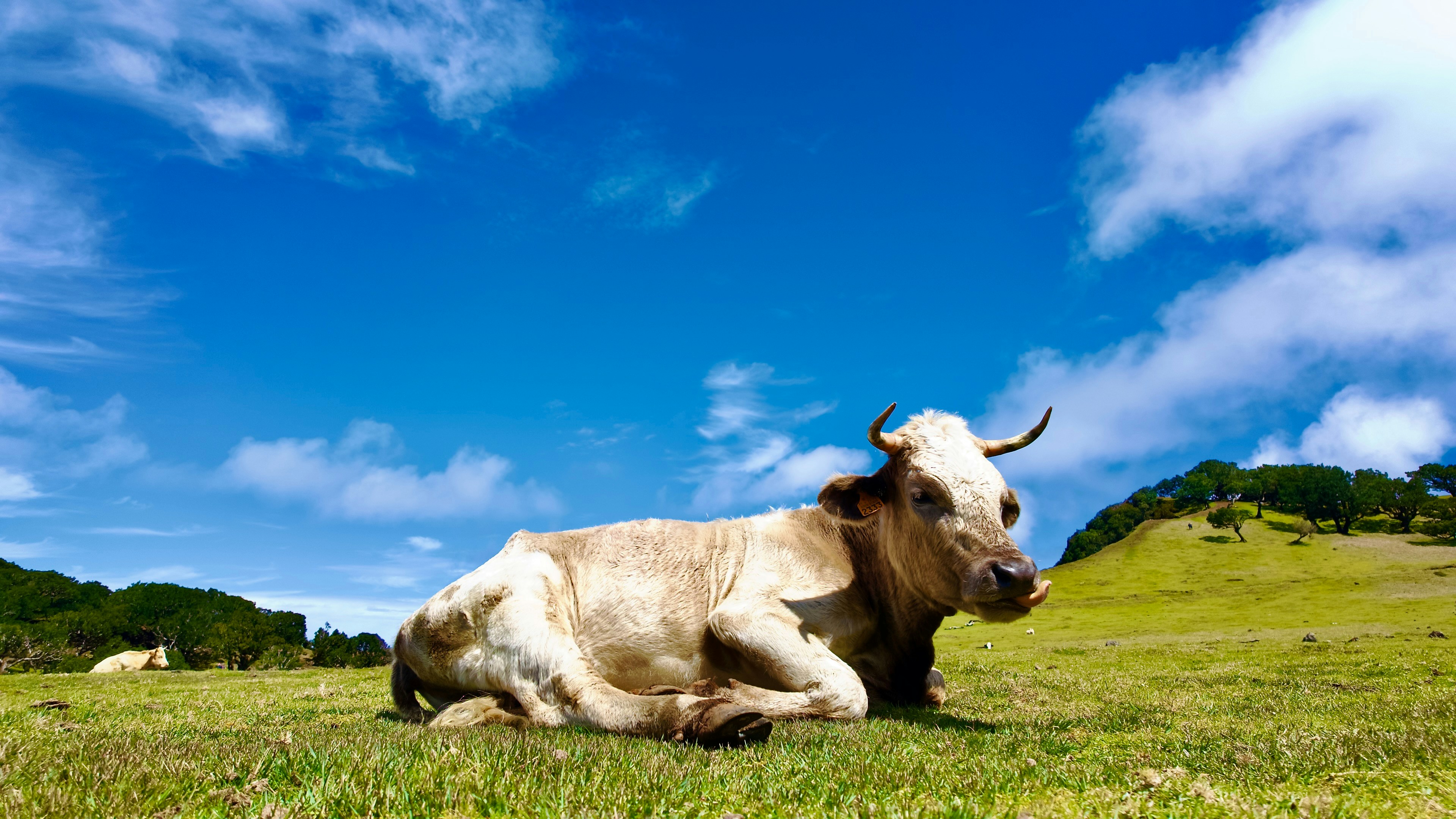 Sample photo from DJI Osmo Pocket 3