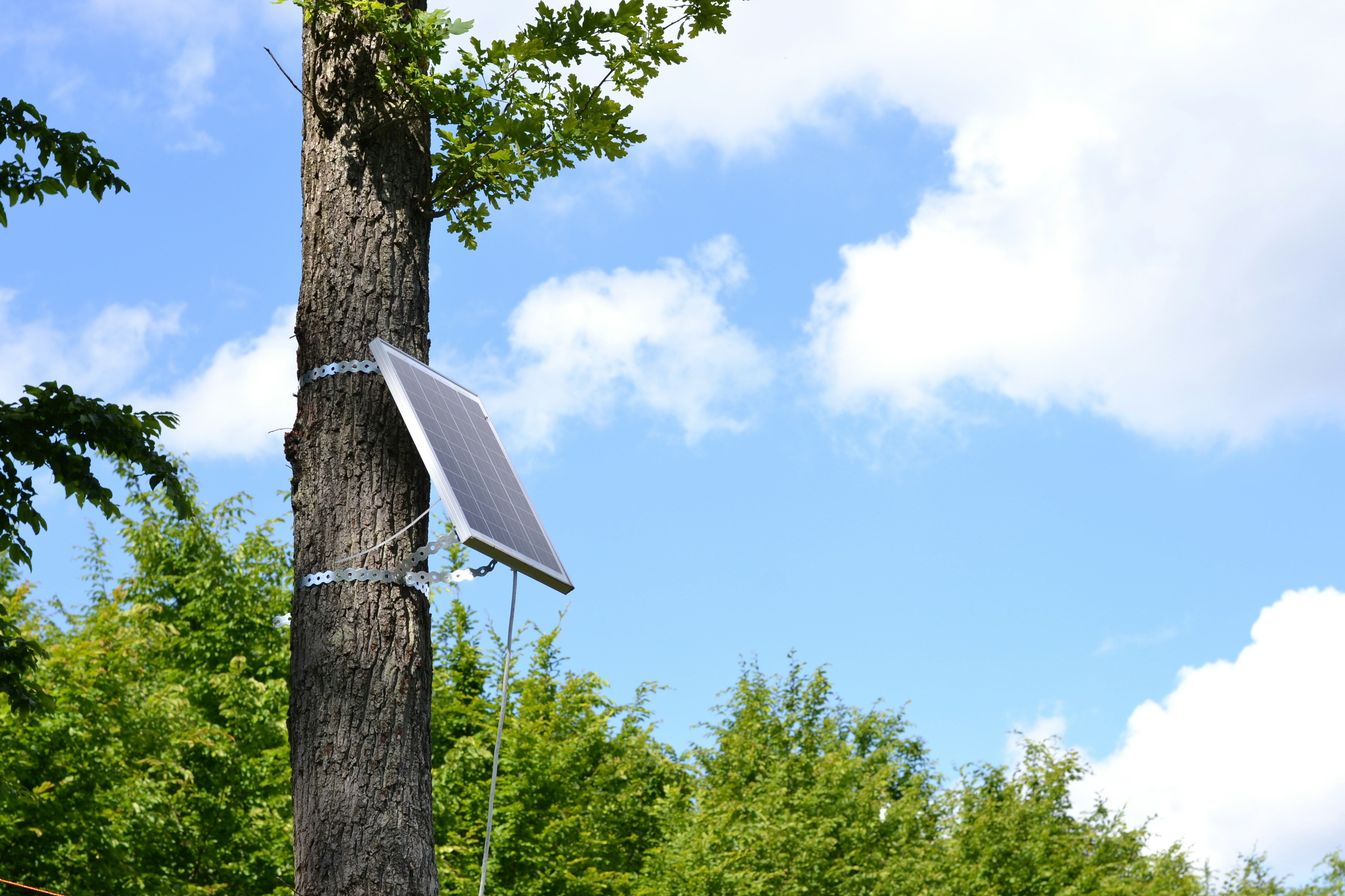 A solar panel is attached to a tree photo – Free Voltage Image on Unsplash