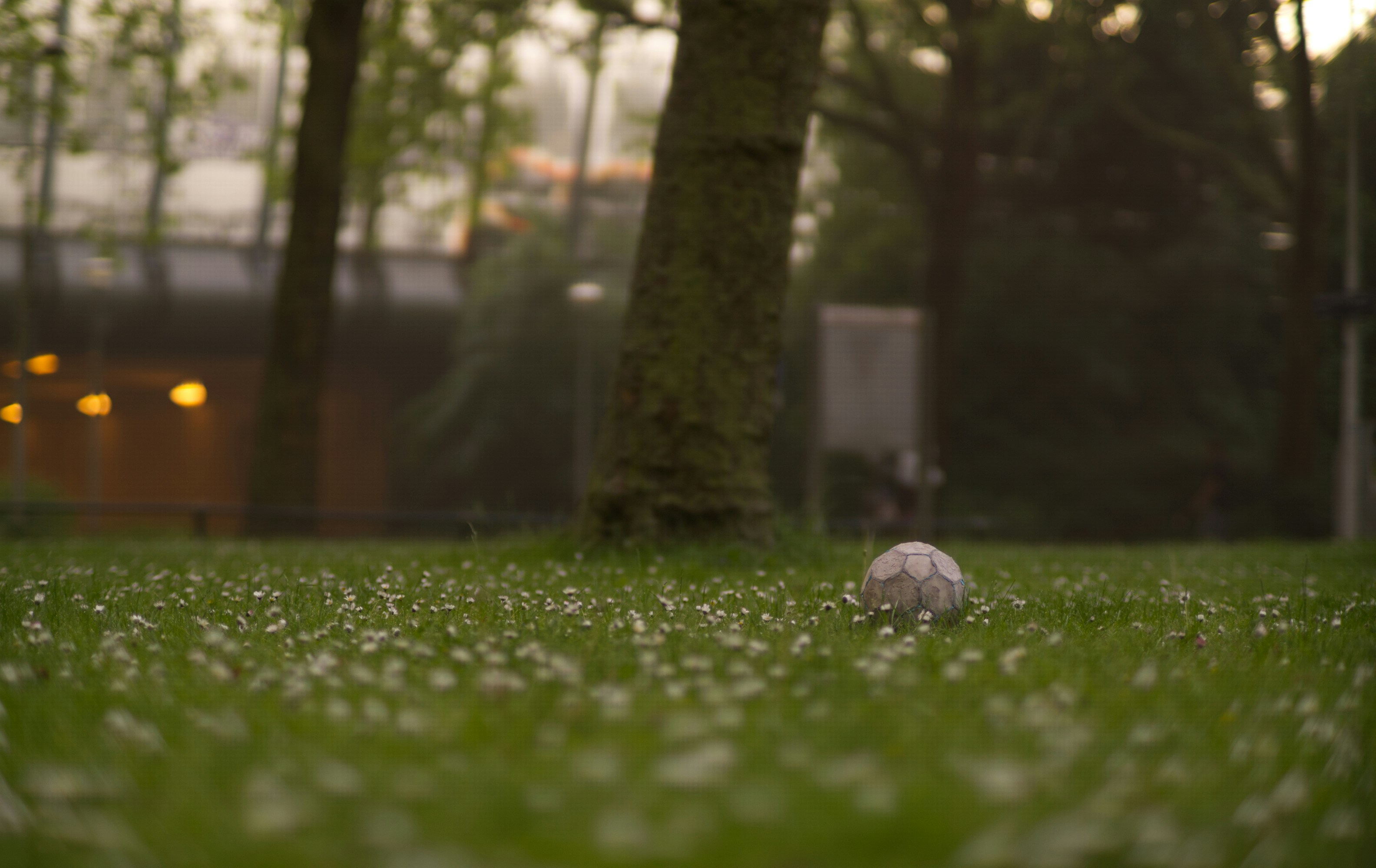 Photo by Denis M with Sony Alpha 5100