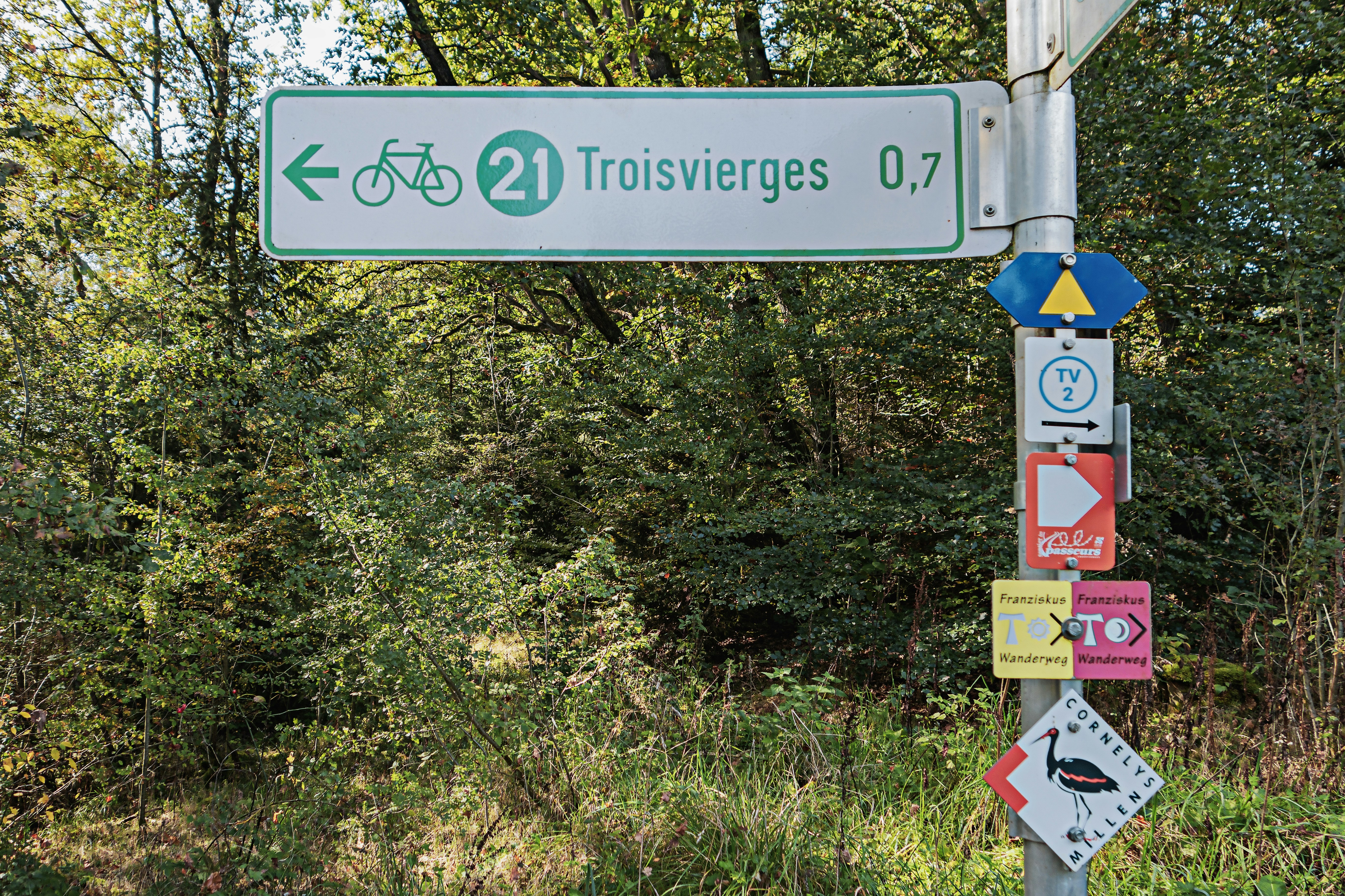 Directional signpost indicating the route to Troisvierges, featuring cycling symbols and various local markers.