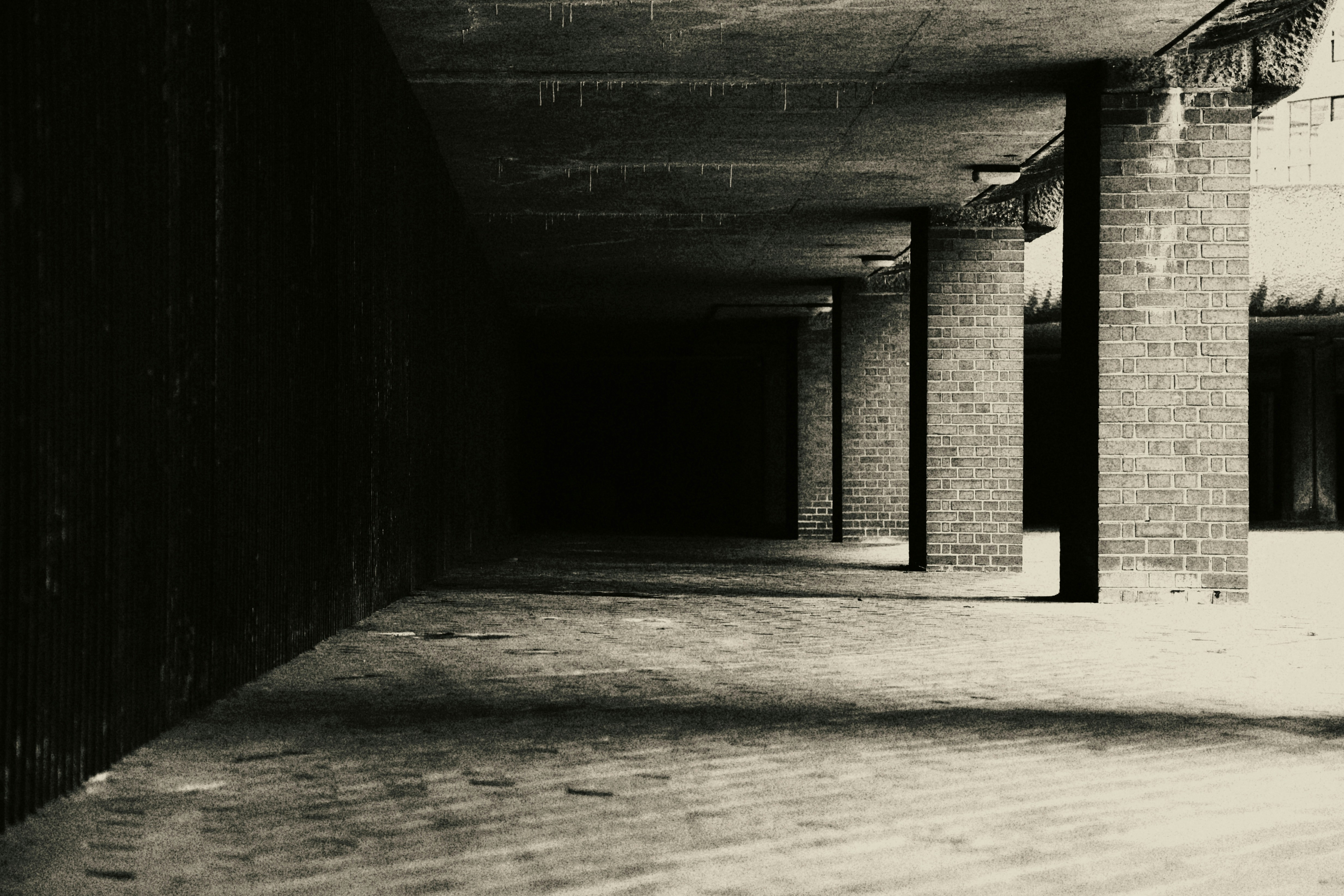 Alex Tyan (@alex_tyan) | Comunidade de fotos da Unsplash