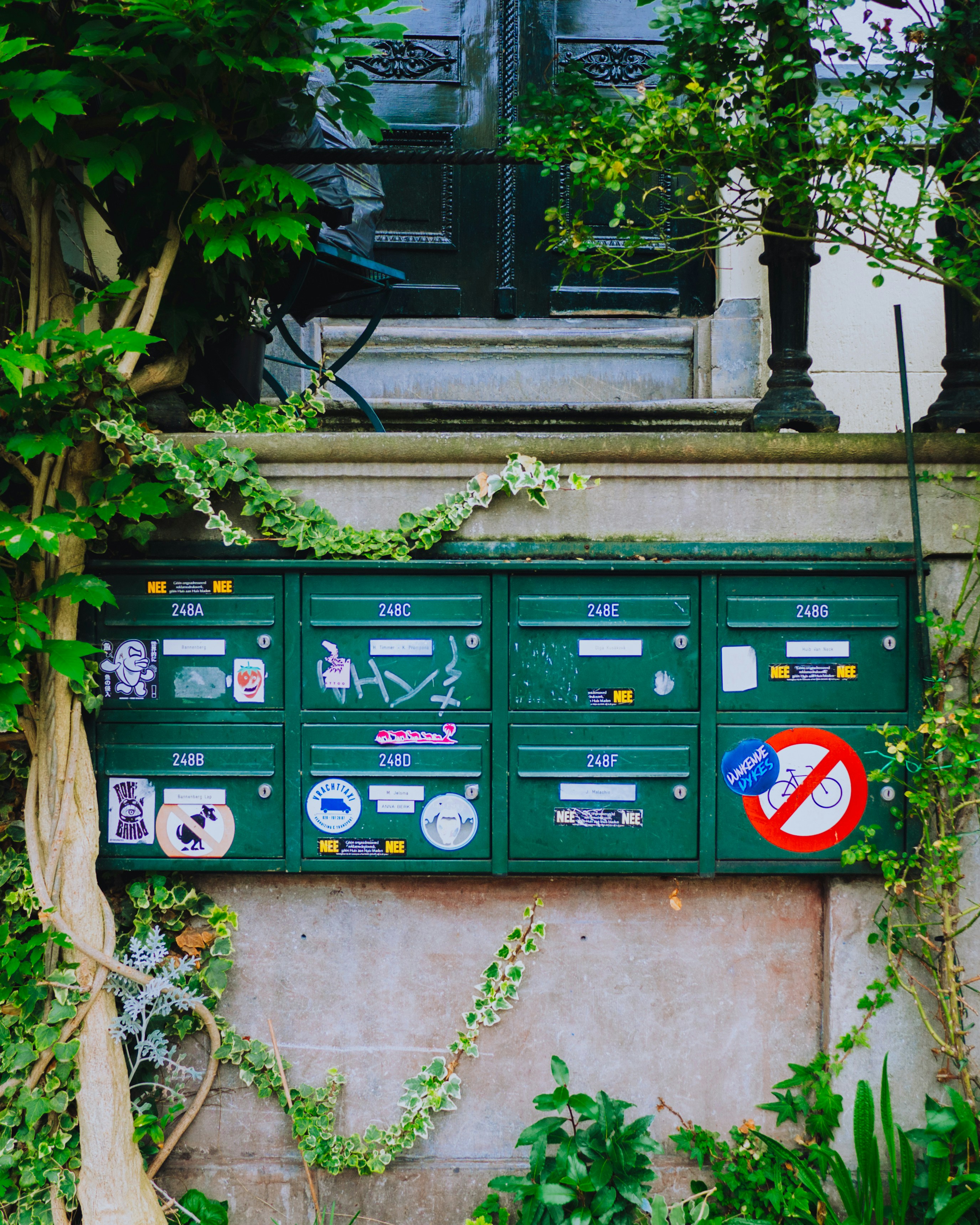 A row of green mail boxes sitting next to a tree photo – Free Ivy Image ...
