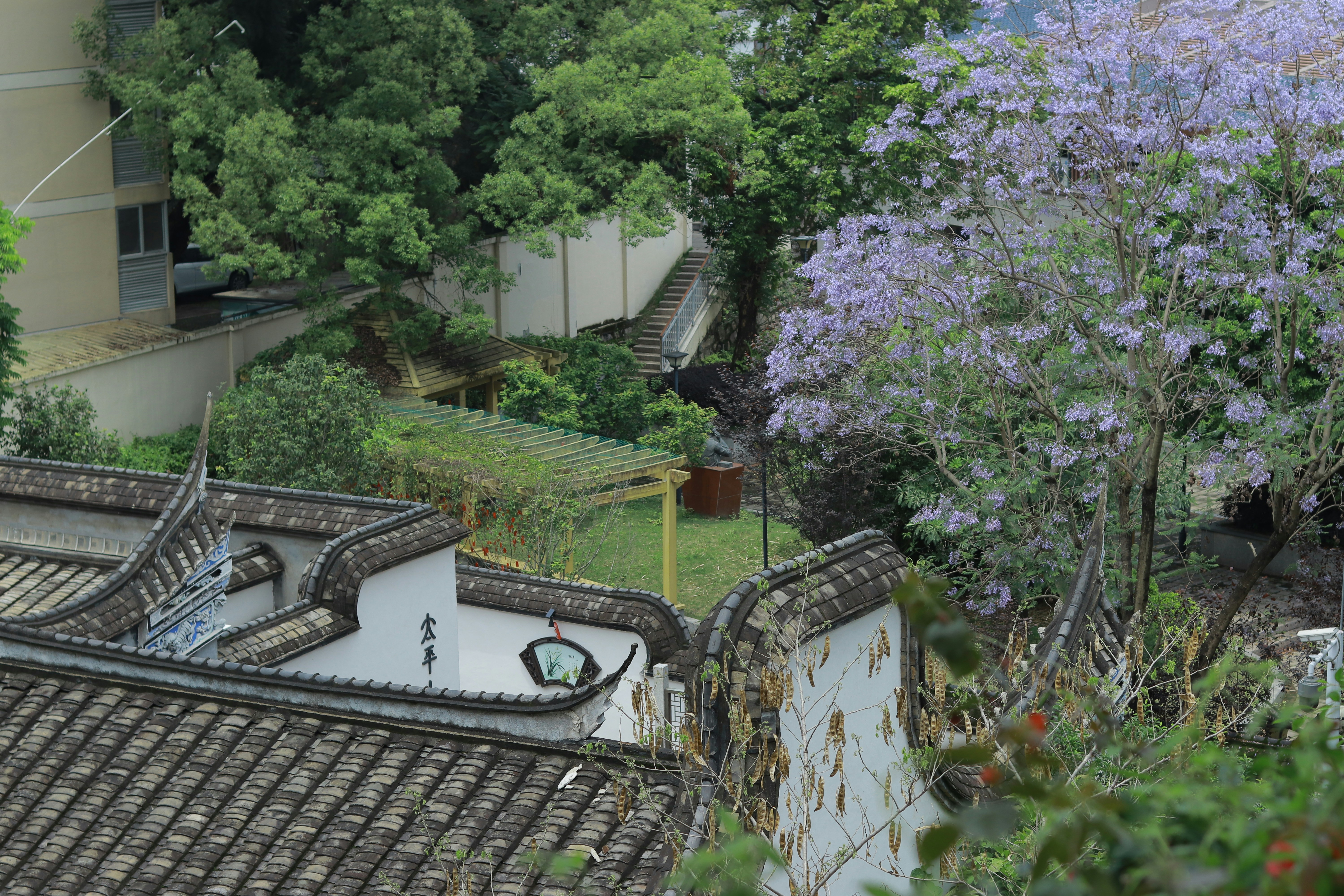 Traditional tiled rooftops with lush trees and purple blossoms in the background.