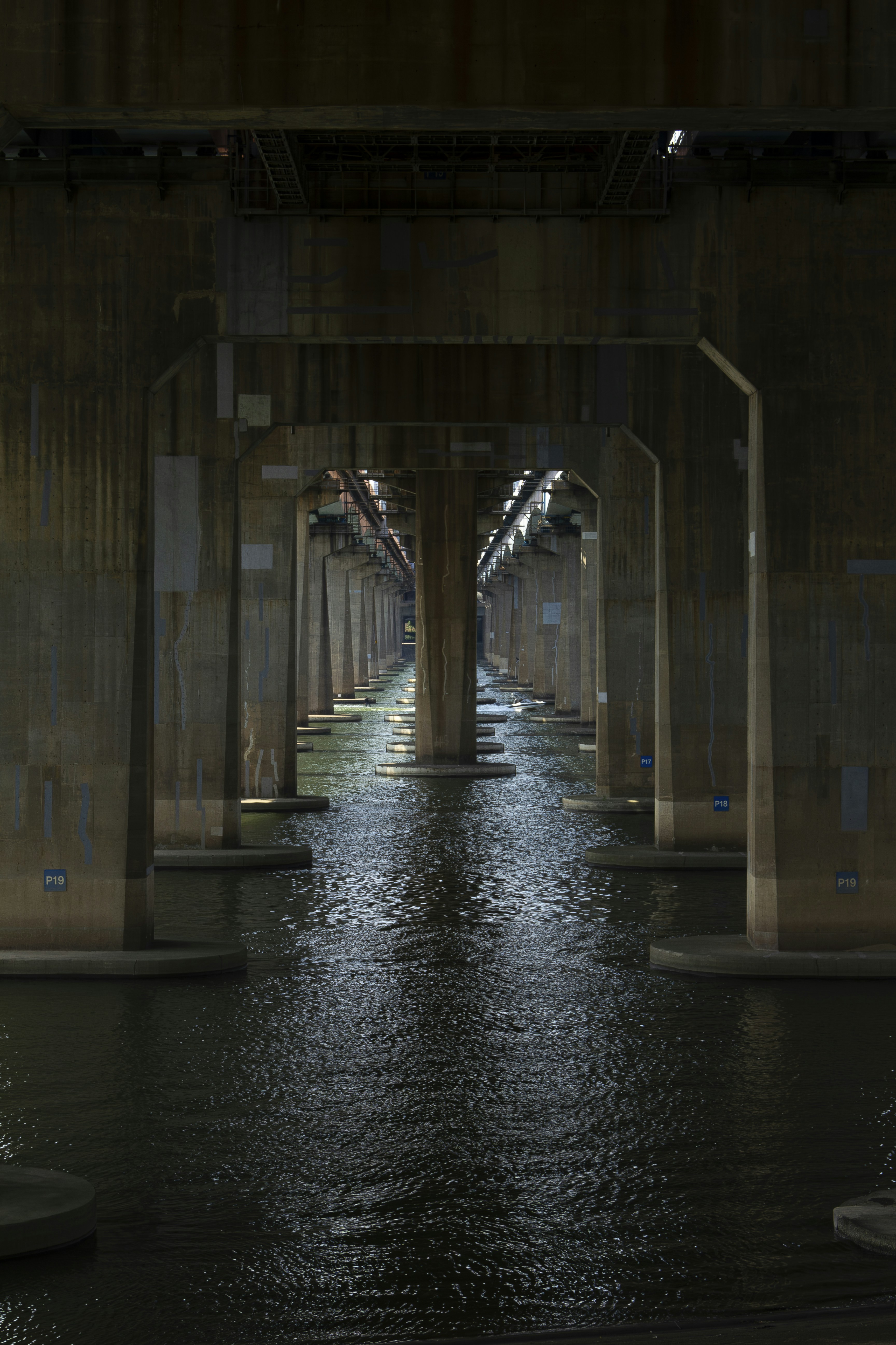 Under the Pier: Symmetry of Steel and Water