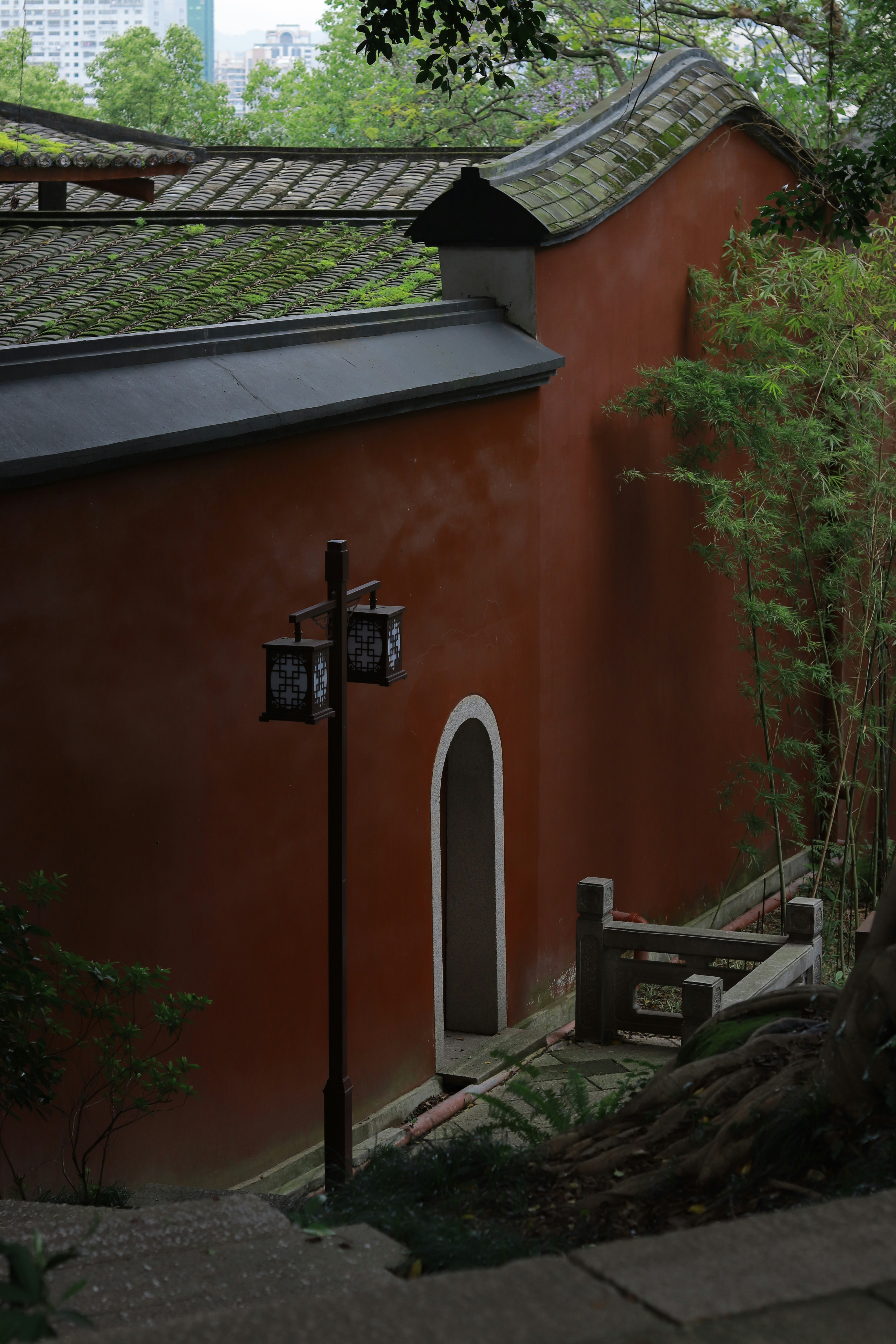 Photo by Michael Shu with Canon EOS 77D