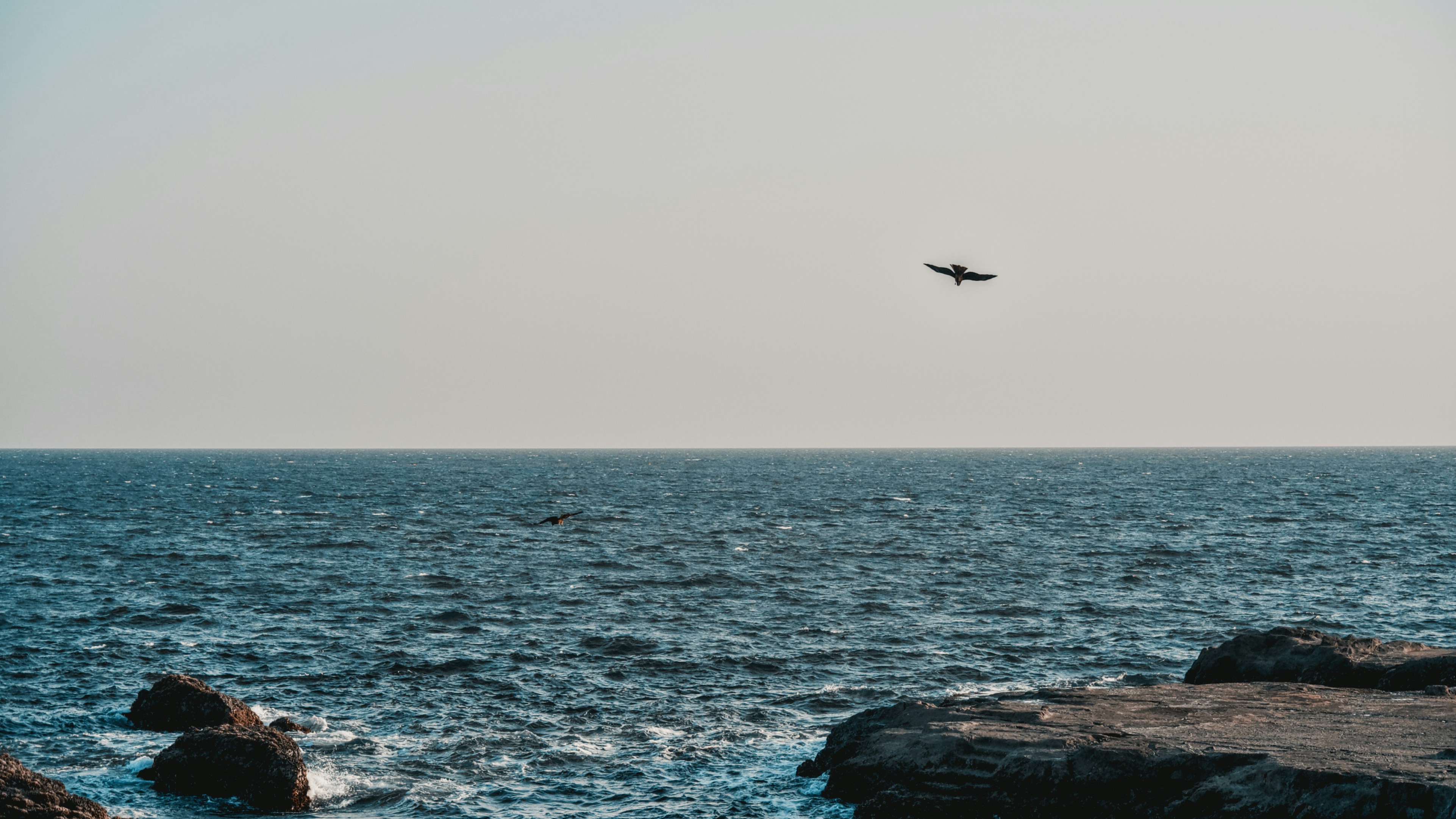 Bird soaring above a vast ocean with rocky outcrops in the foreground.