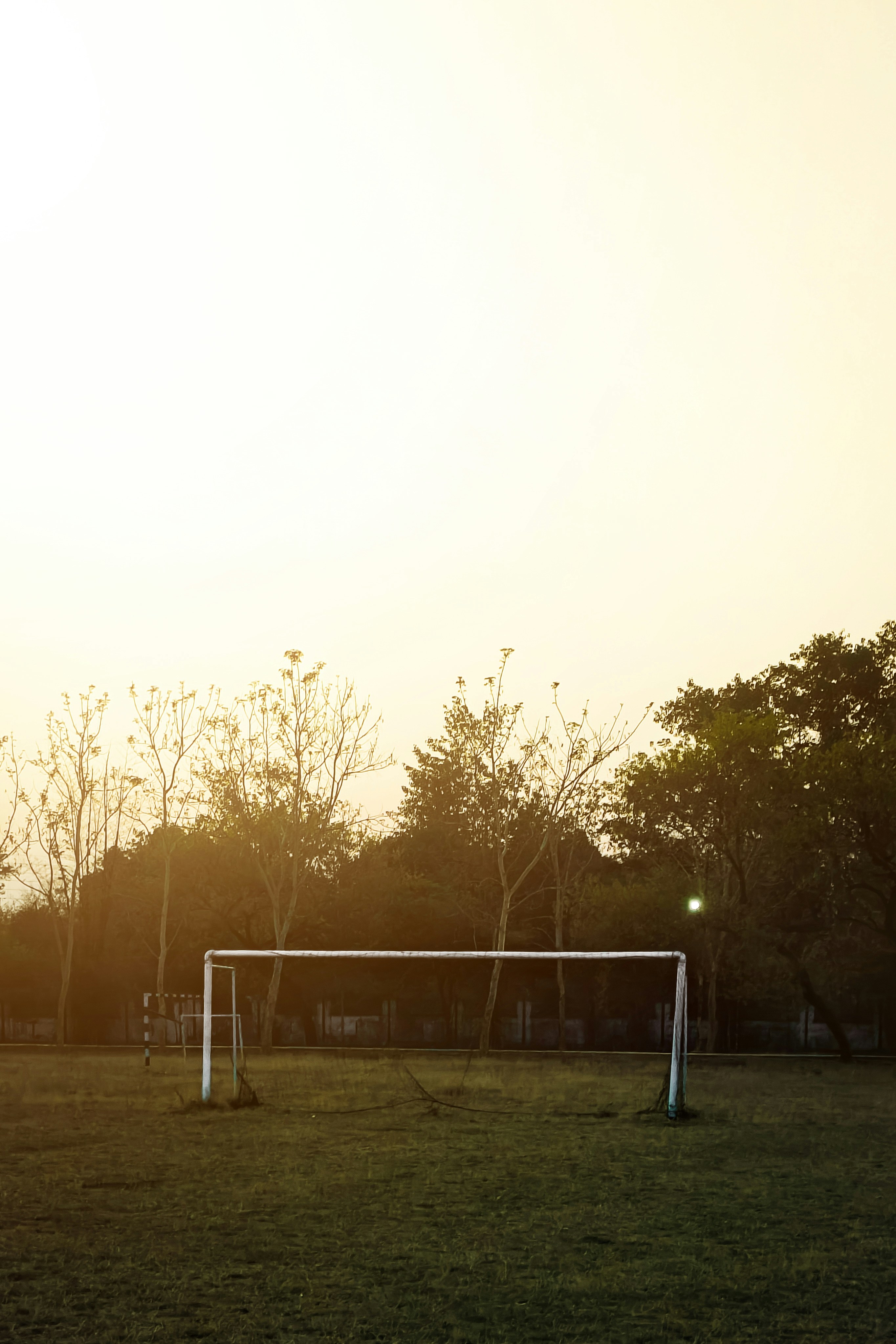 Sample photo from OnePlus 12R