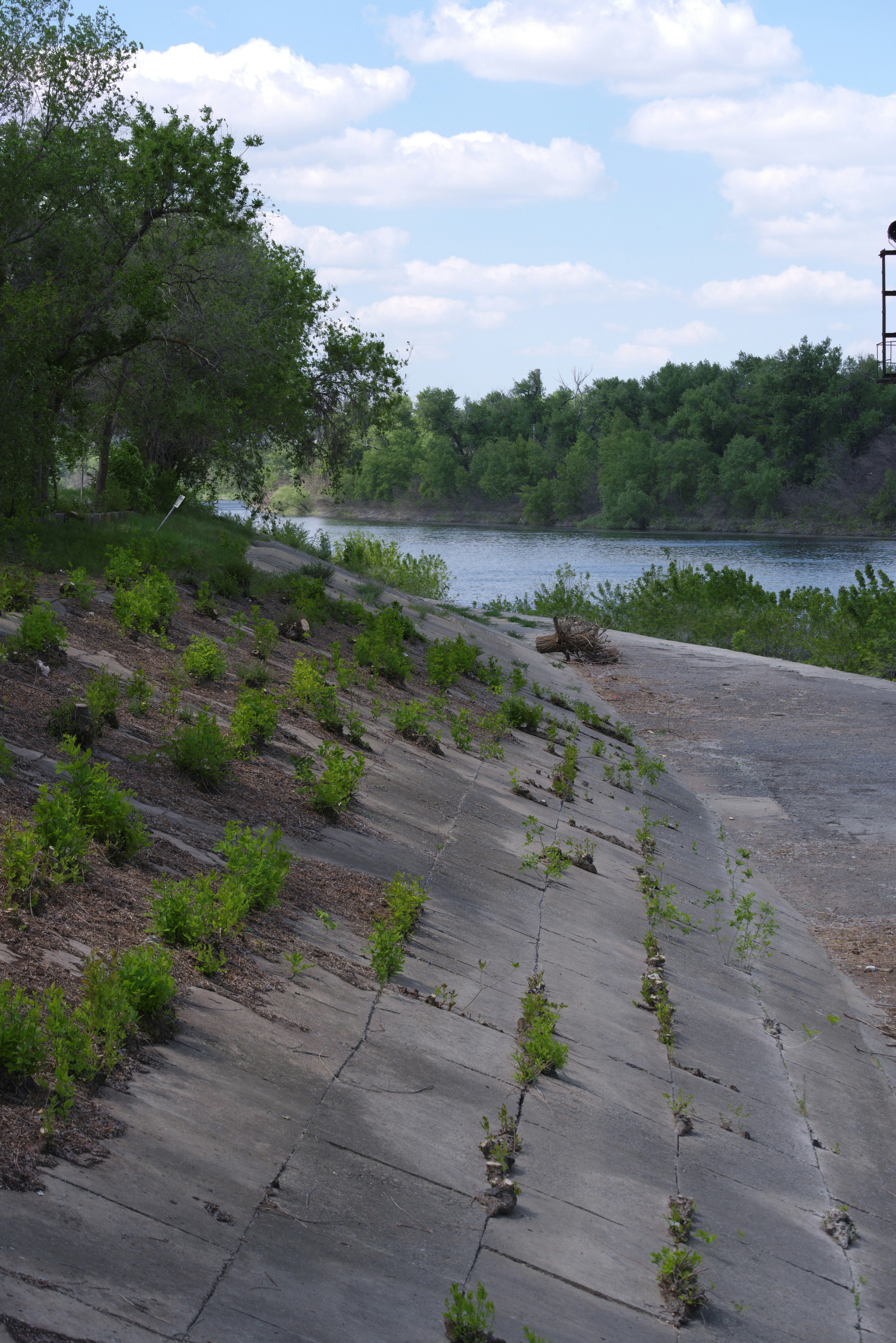 Verdant Reclamation: Green Growth on a Concrete Riverside Slope