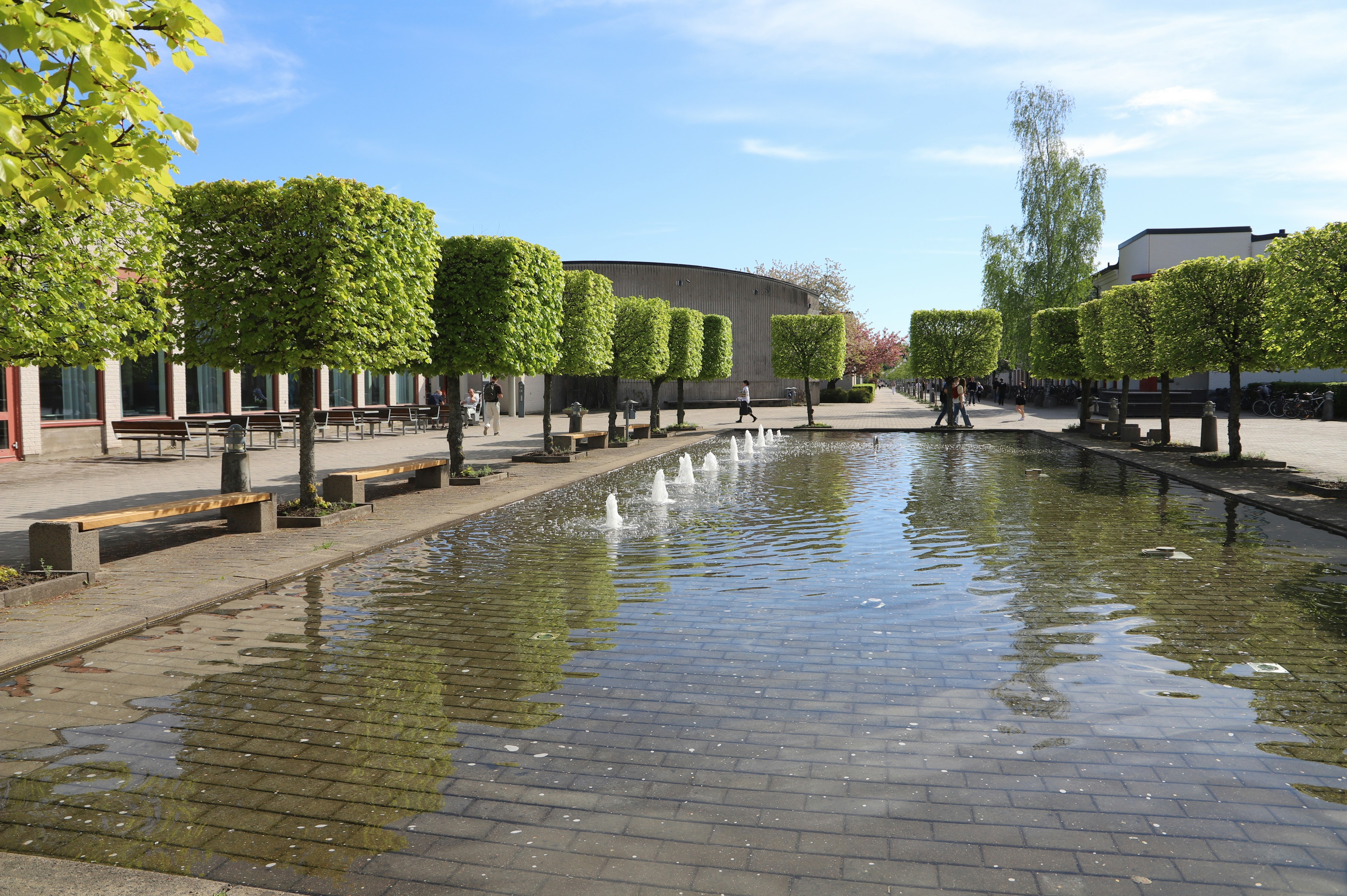 Tree-Top Reflections Over a Modern Courtyard Stream