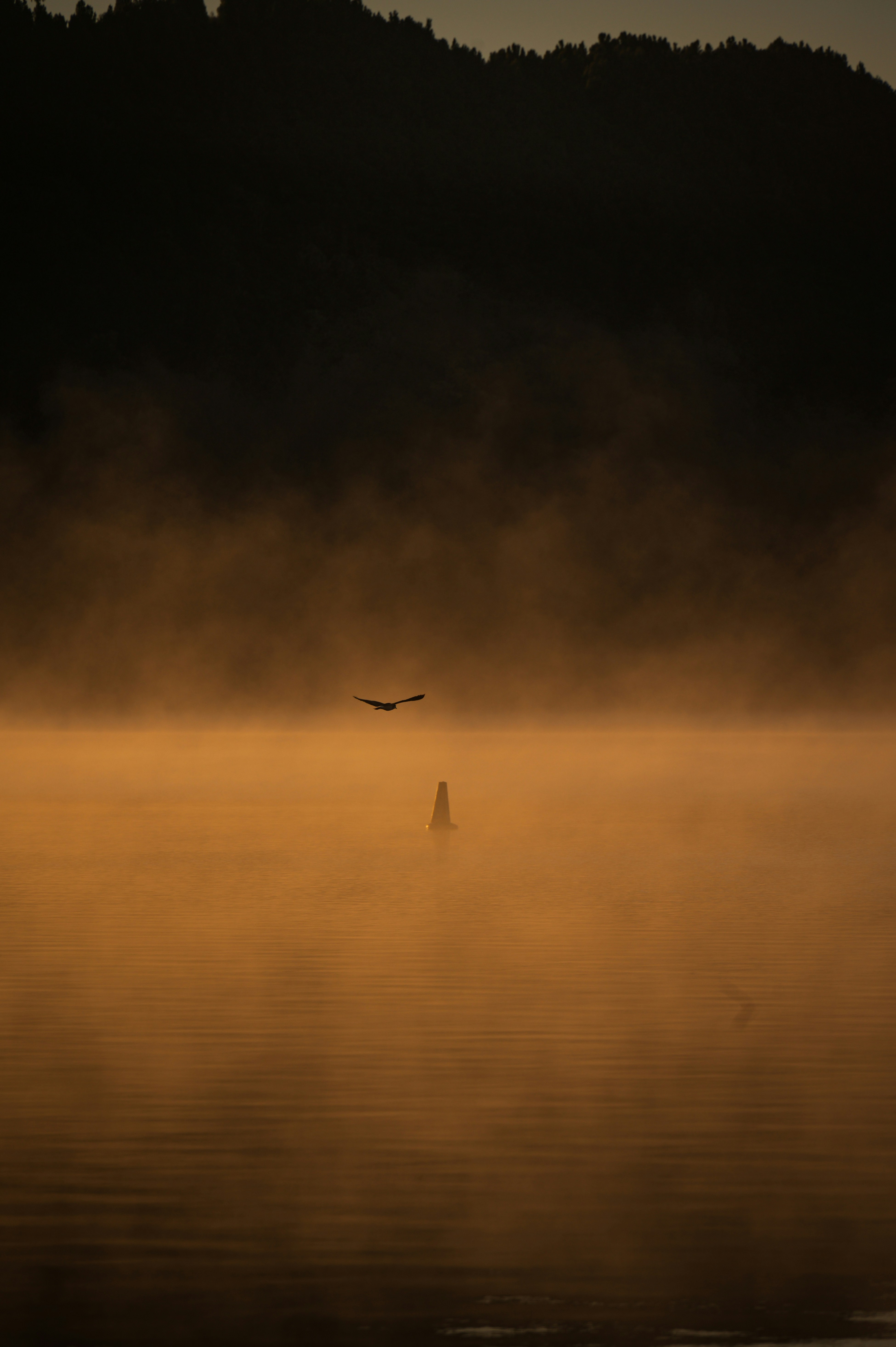 A beautiful sunrise upon a lake