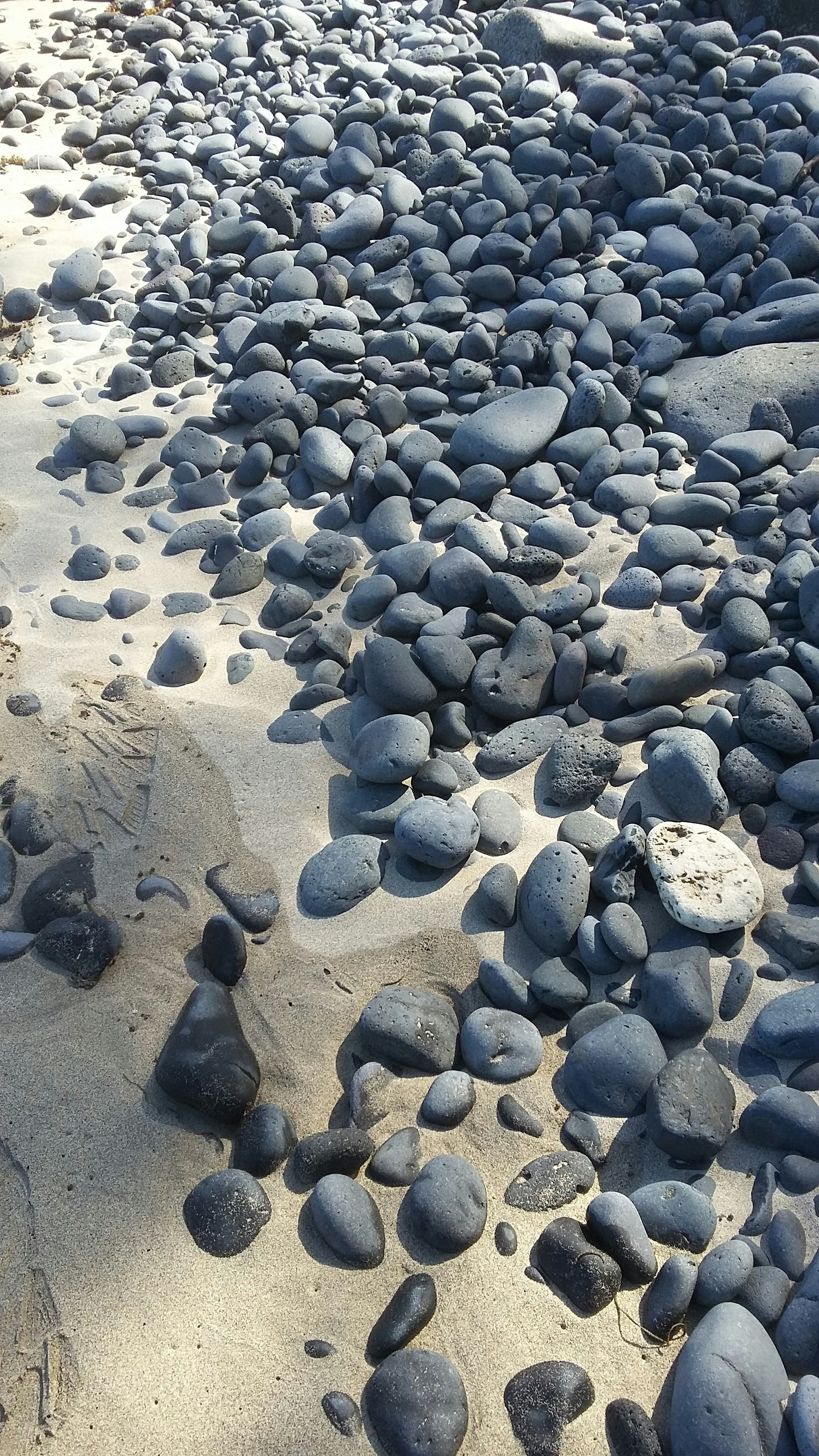 Samsung Galaxy E5 Sample Shots