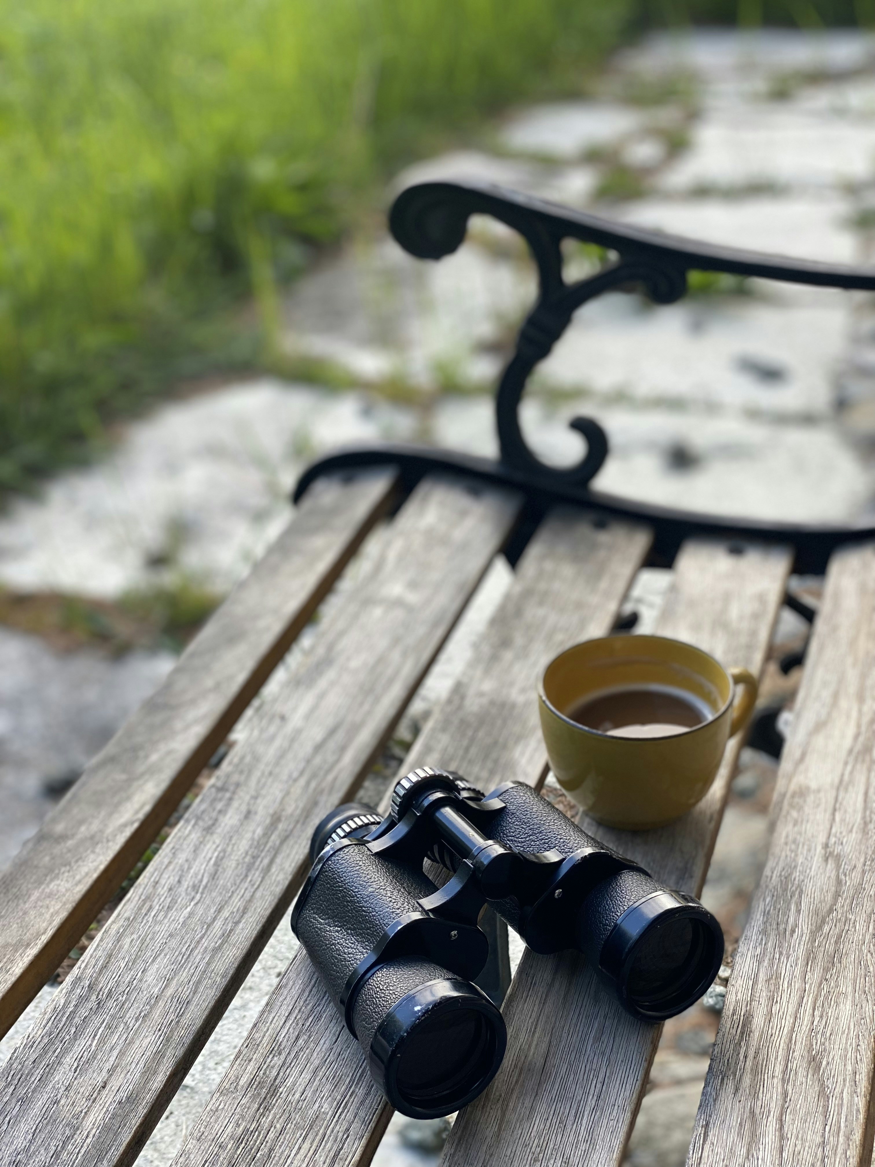 Morning Light on a Wooden Bench: Binoculars and a Coffee Cup