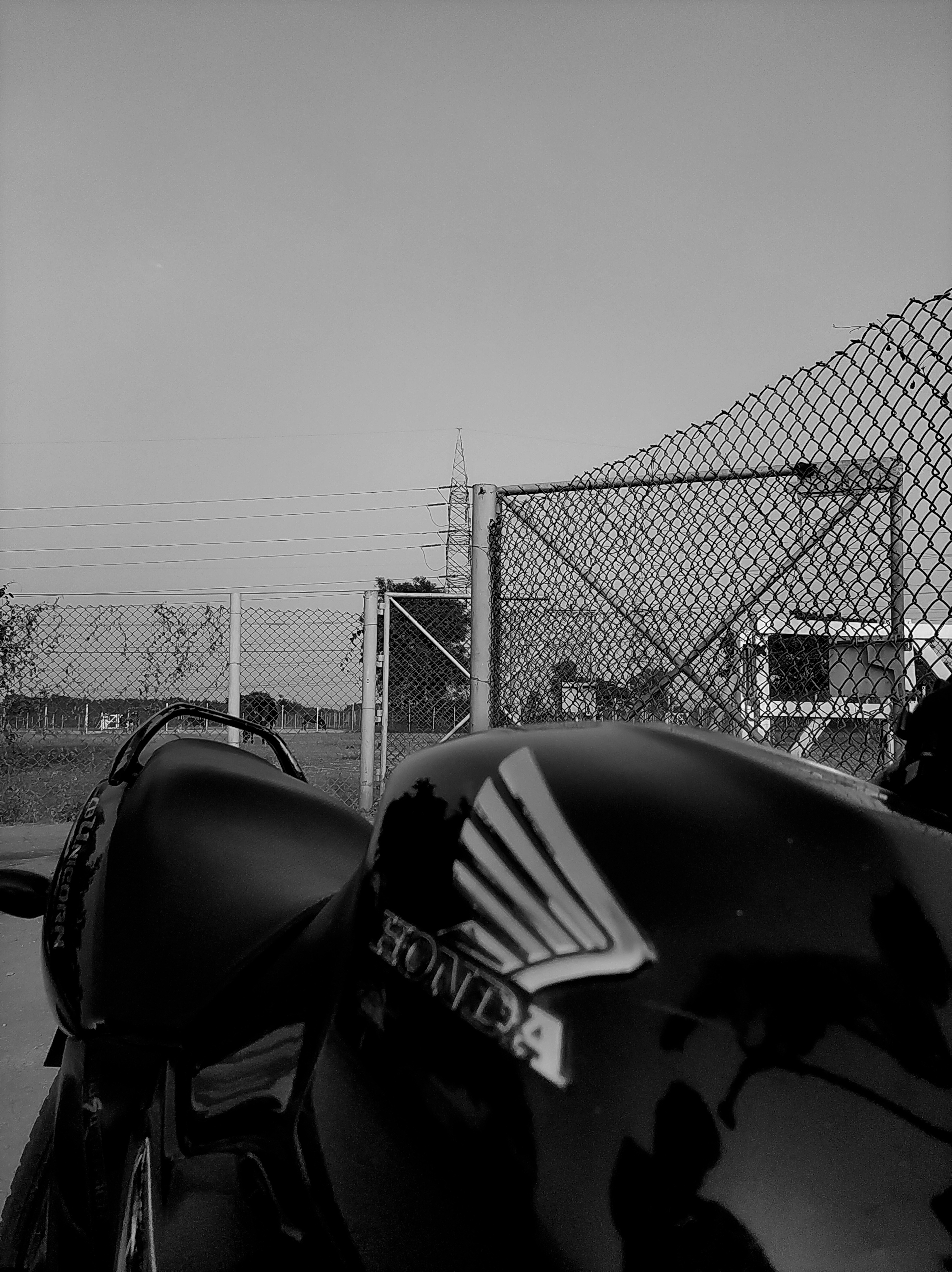 Honda Crest Along a Chain-Link Horizon