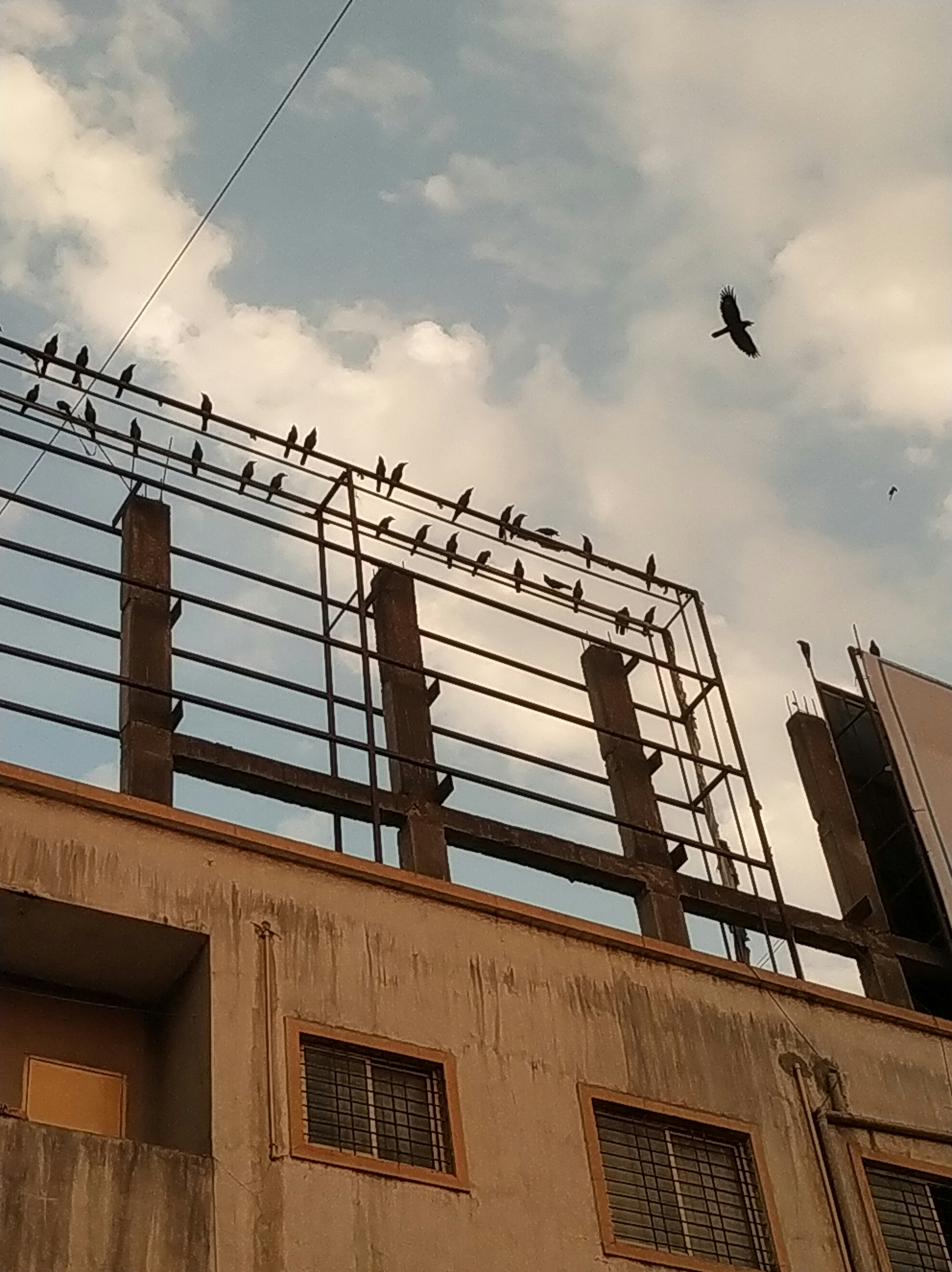 Winged silhouette over a weathered rooftop framework