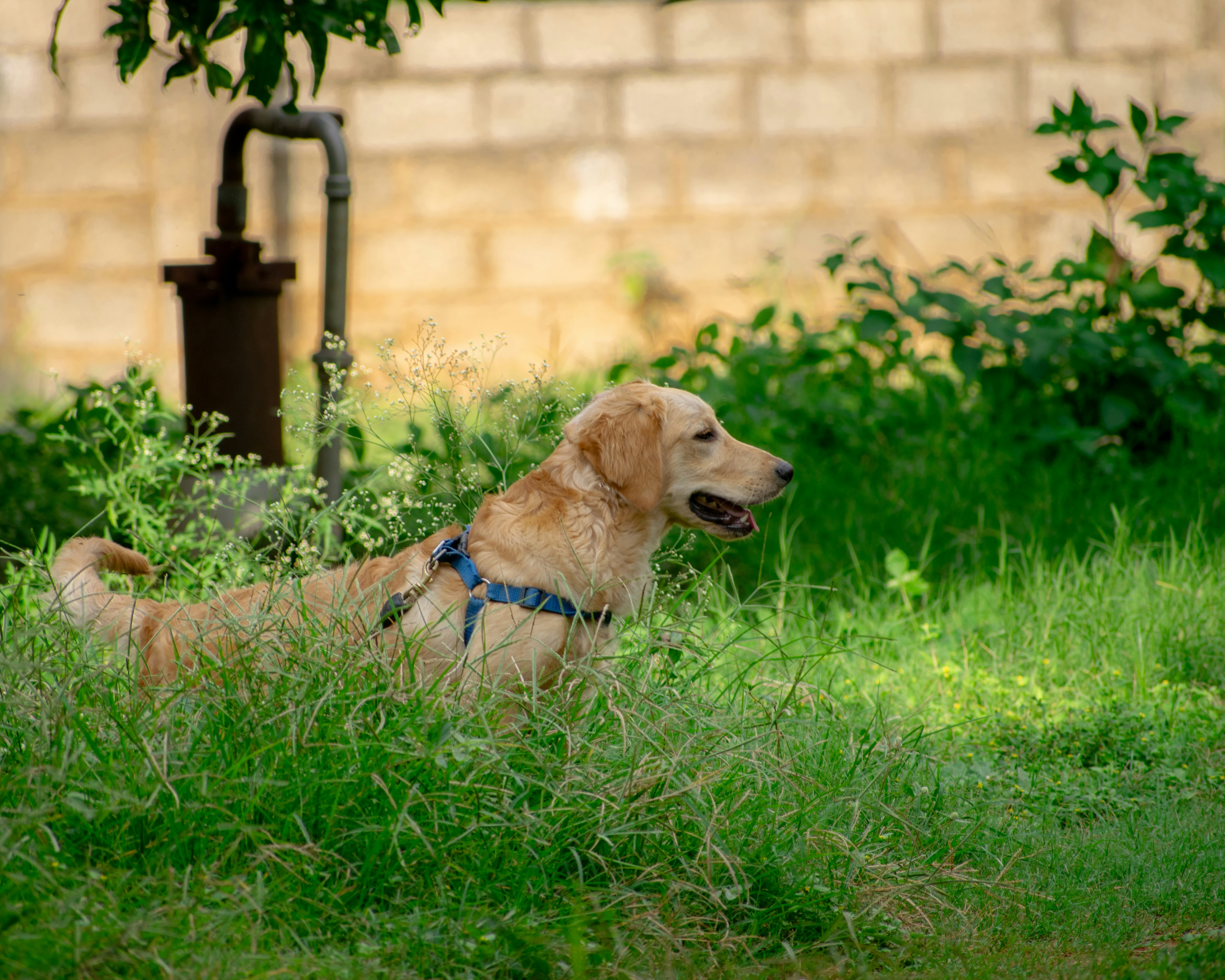 Its playtime in the PARK!