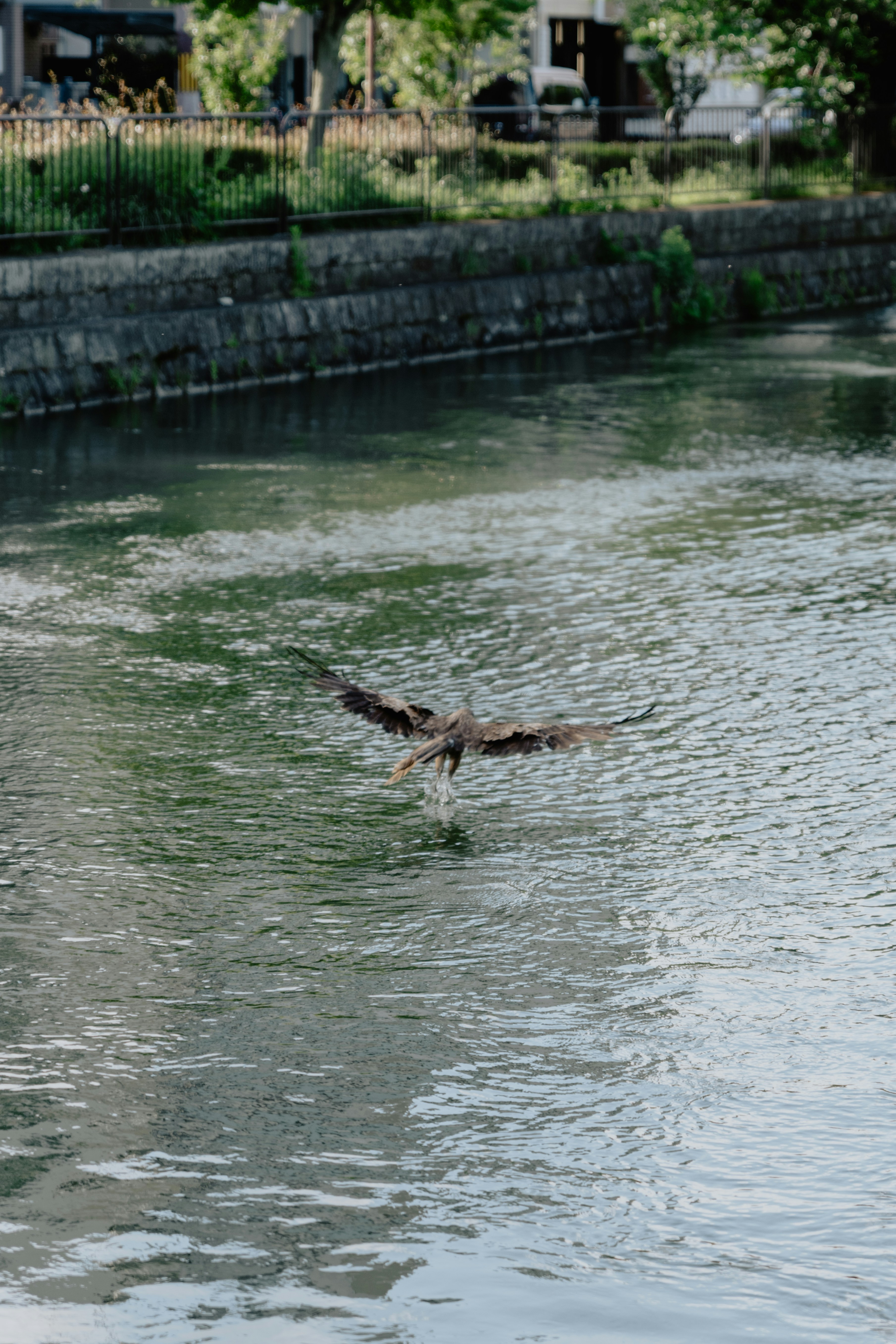 Photo by Mohamed Jamil Latrach with Nikon D850
