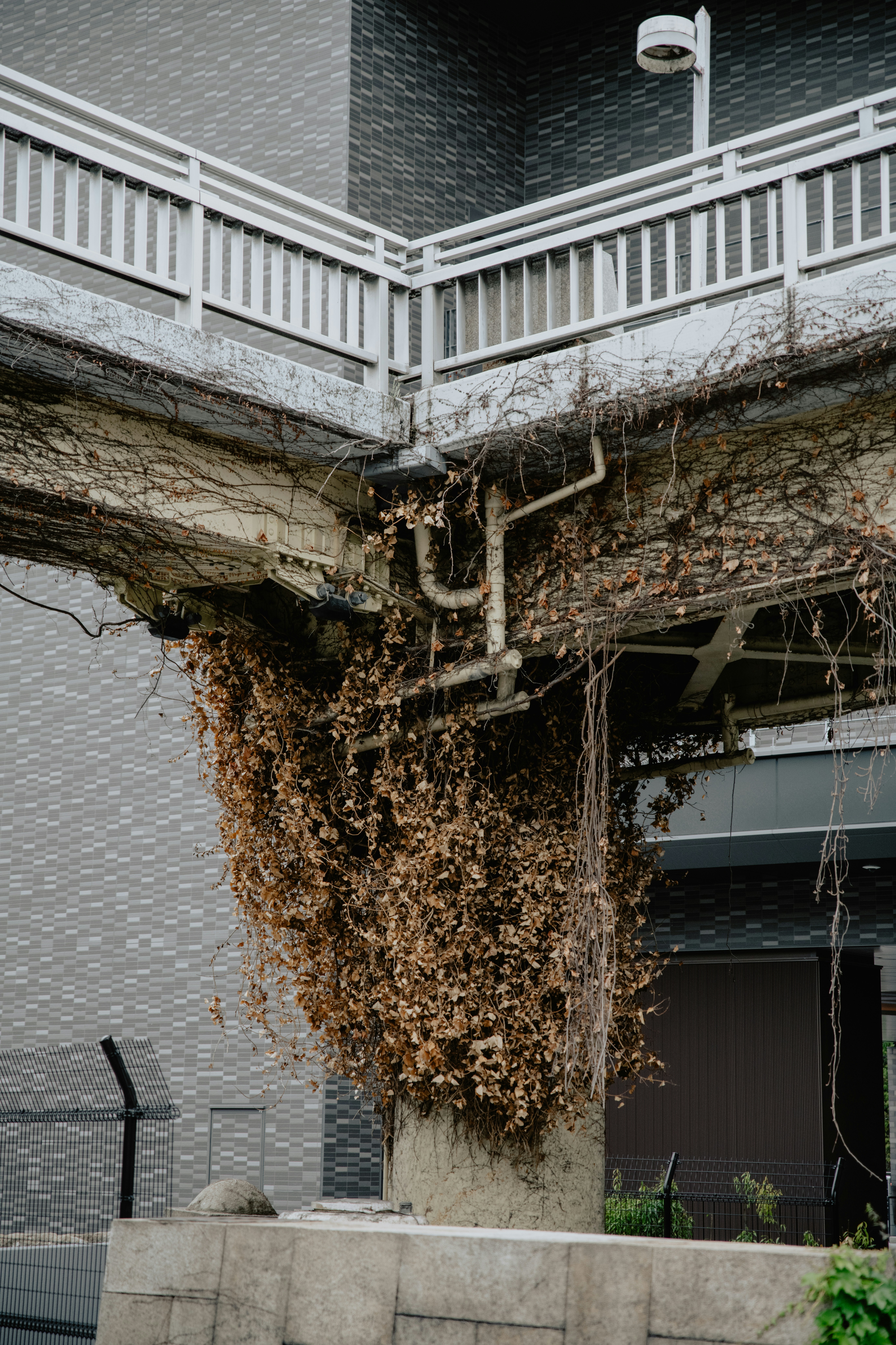 Photo by Mohamed Jamil Latrach with Nikon D850