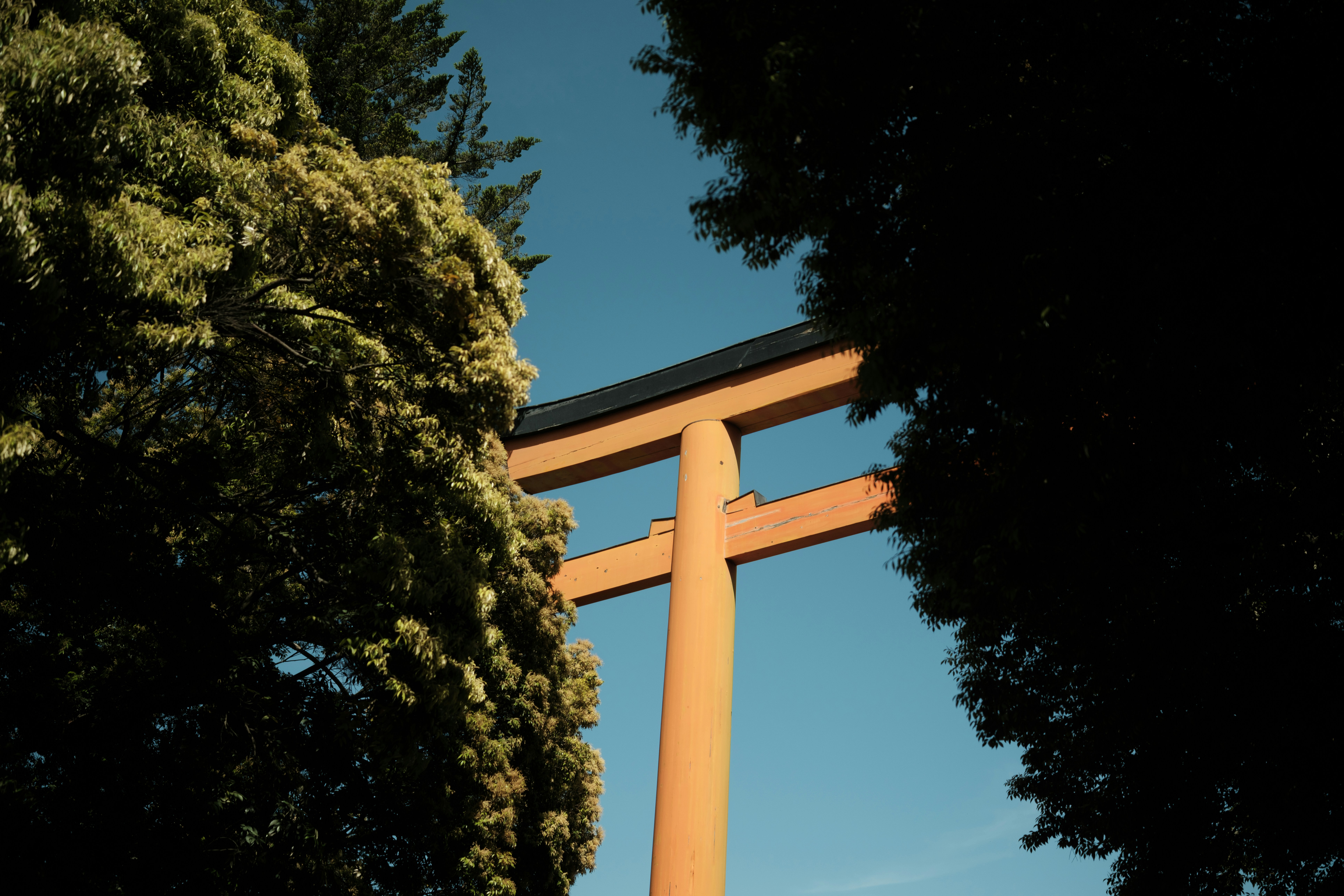 A vibrant torii gate framed by lush greenery under a clear blue sky. The structure stands as a symbol of spiritual transition.