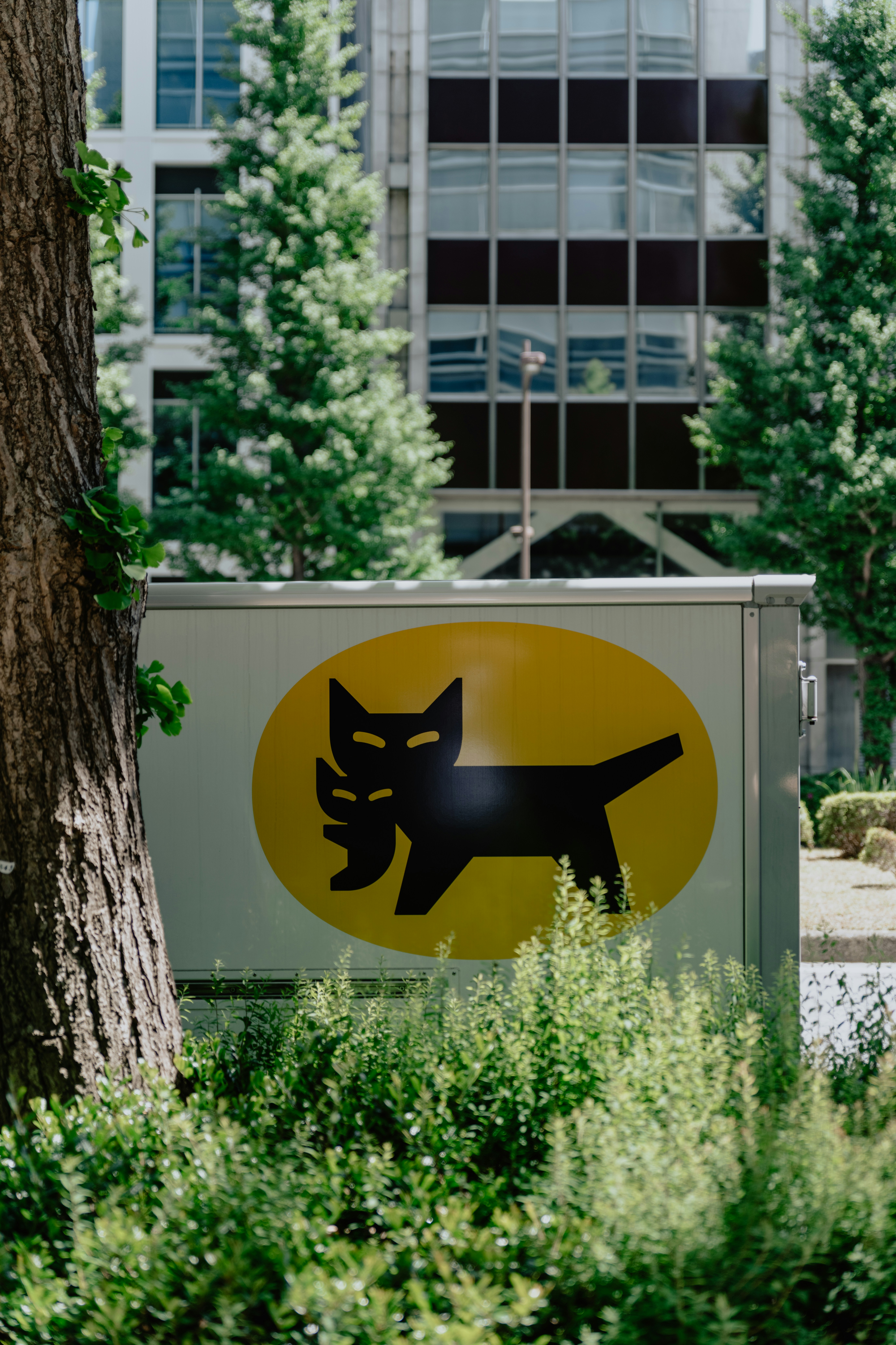 a yellow sign with a black cat on it
