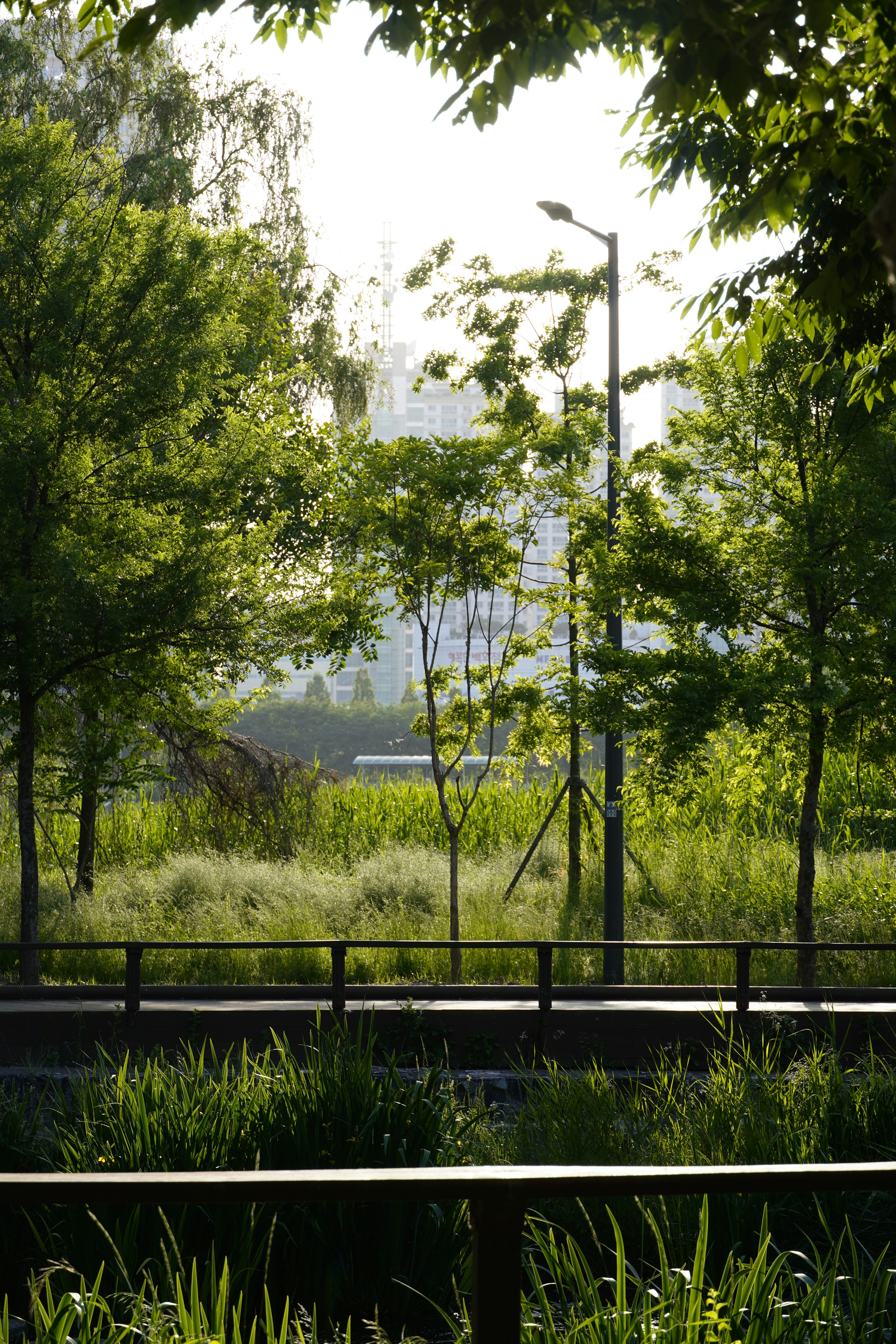 Photo by IRa Kang with SONY ZV-E10