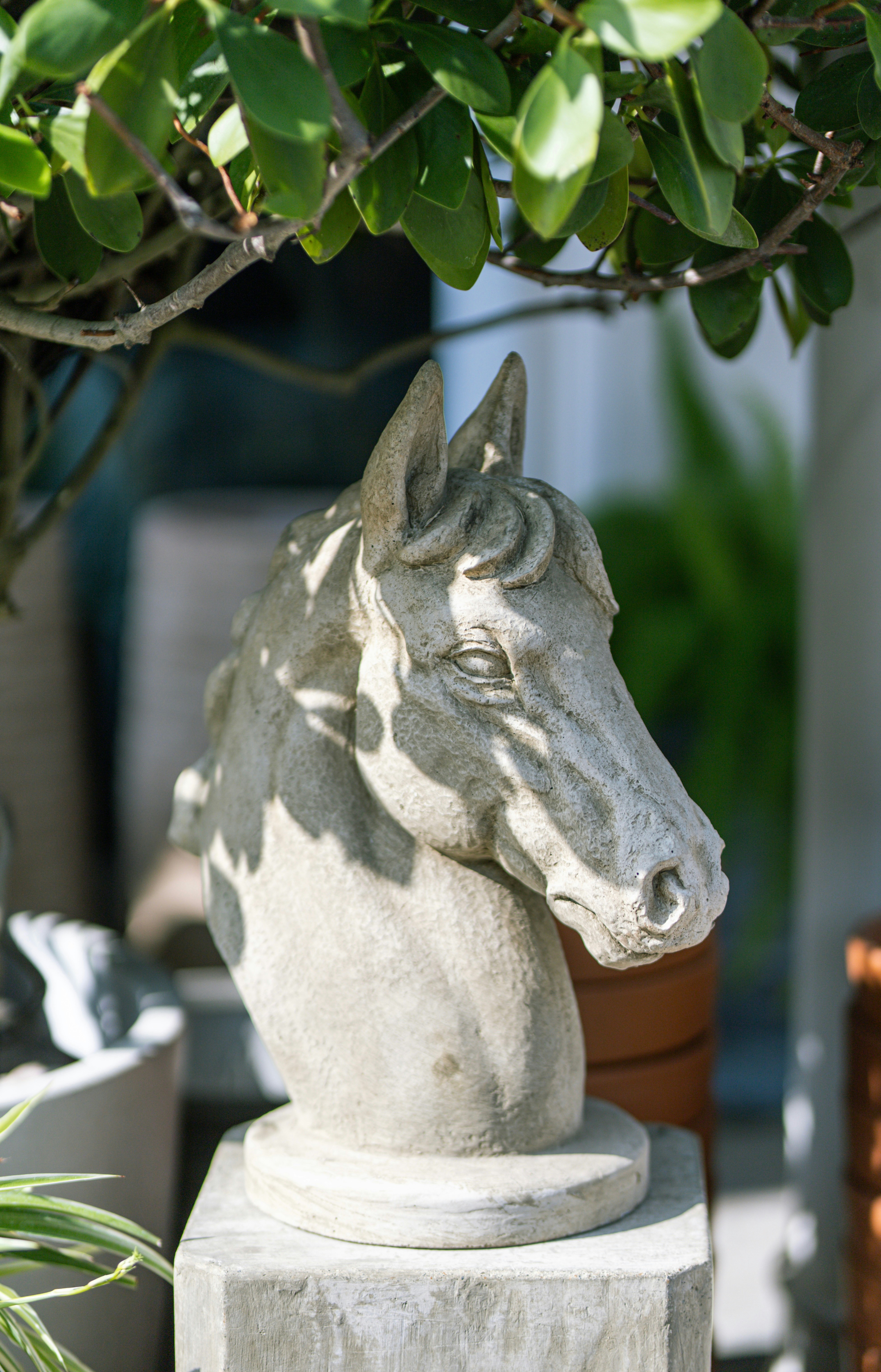Stone Horse Head in Dappled Light