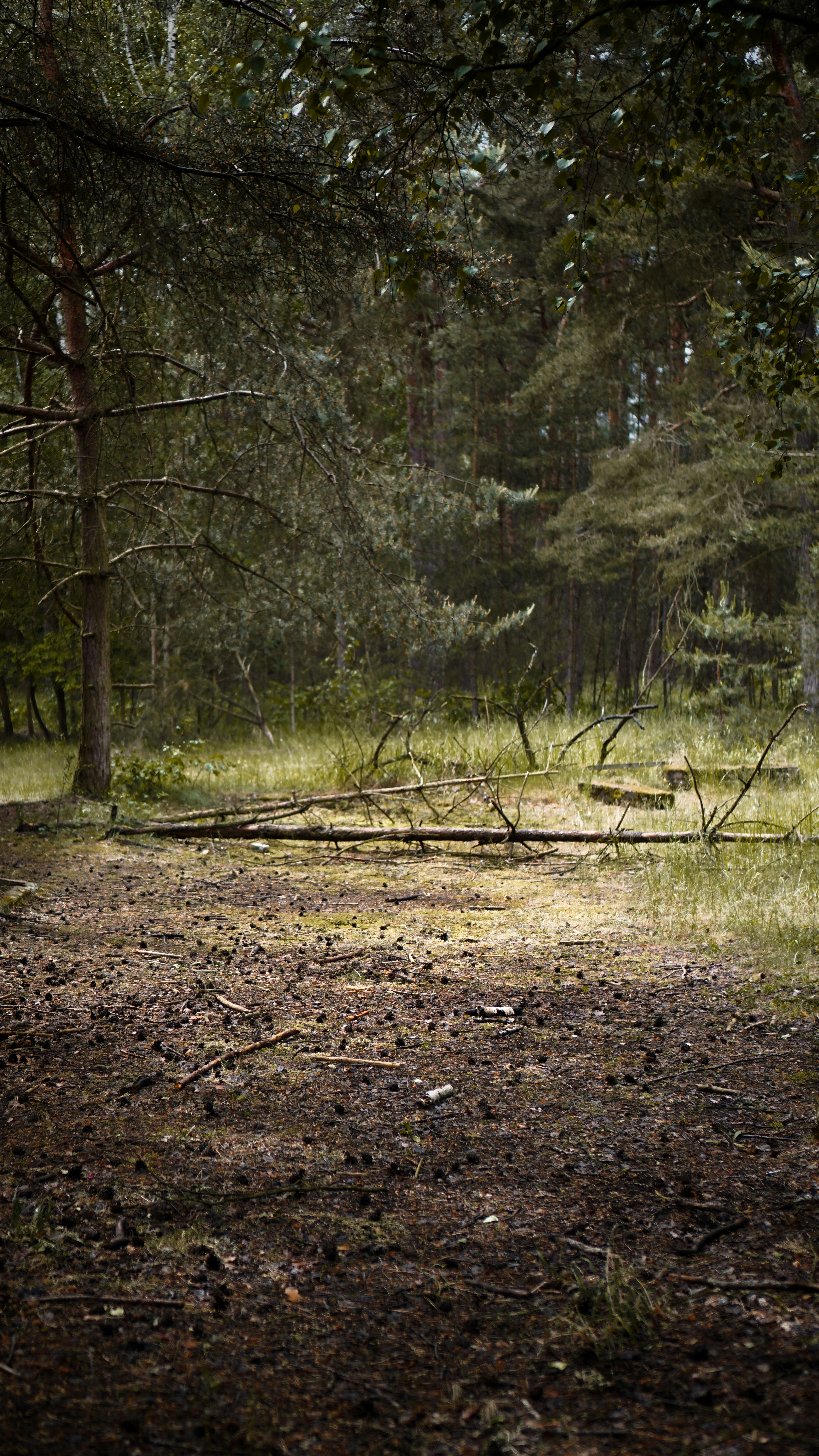 HD vs. SSD - What's the Difference? | This vs. That