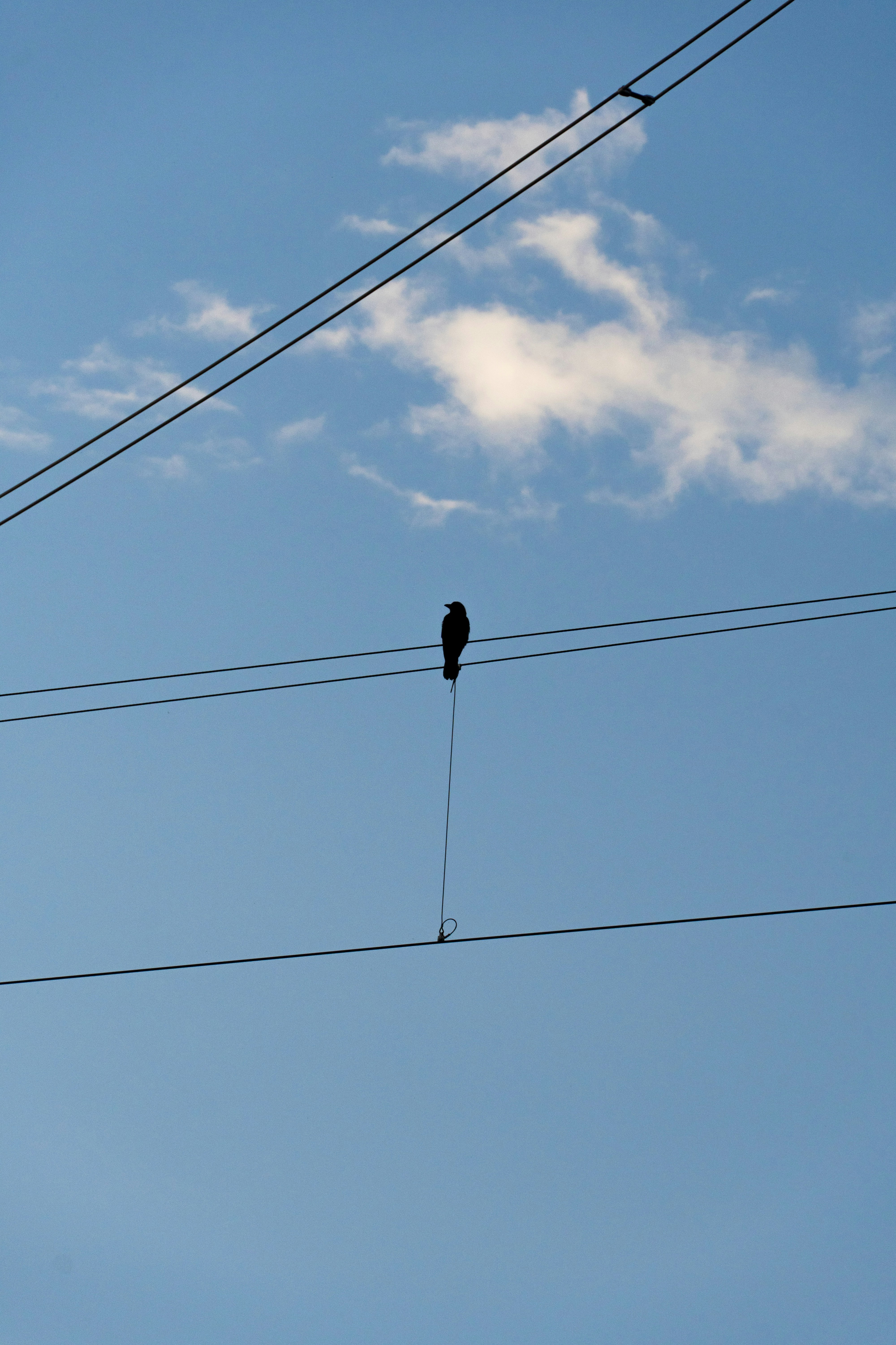 Photo by Olya Mn with Sony Alpha 6400