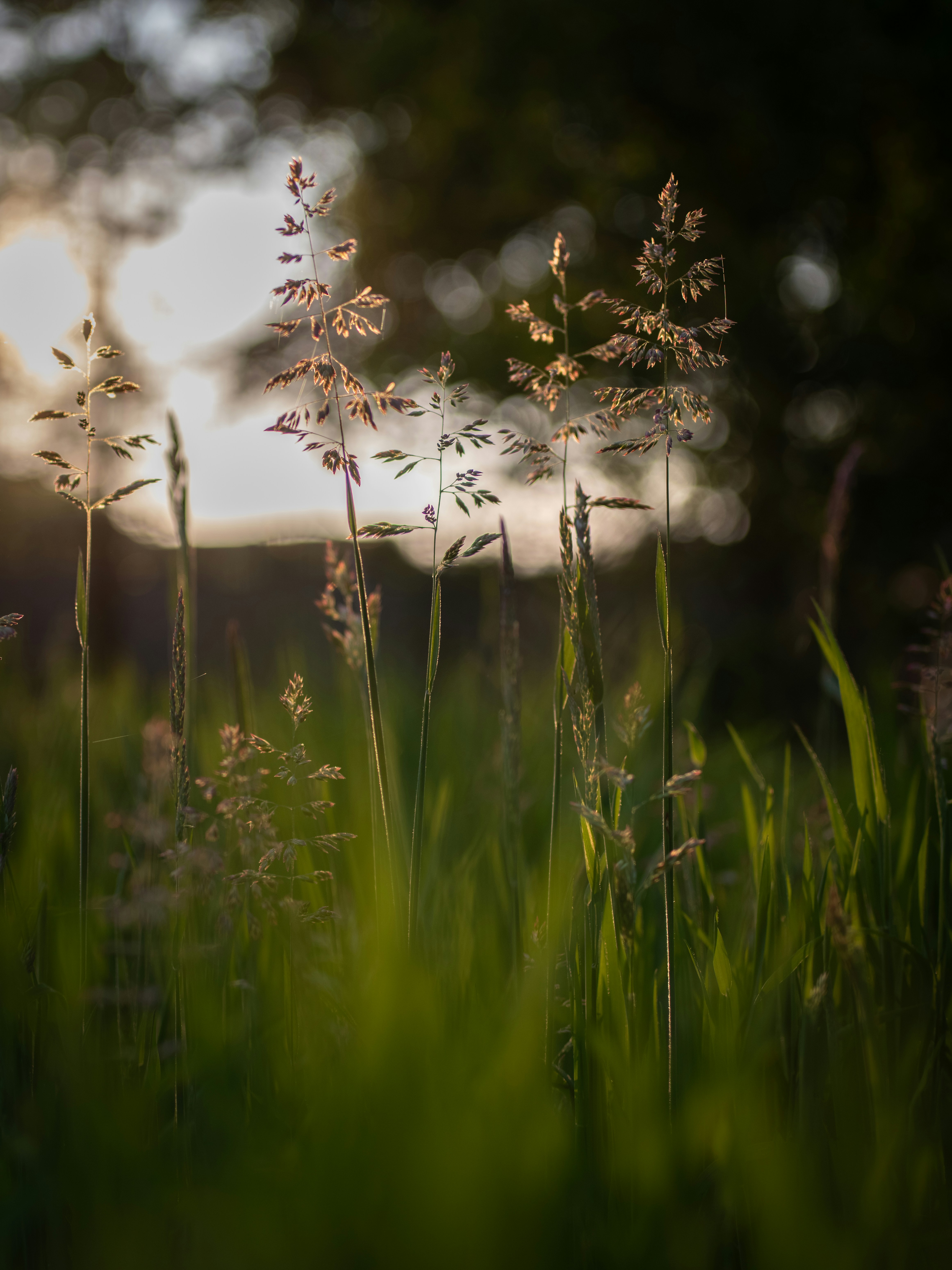 Photo by Doncoombez with Ricoh PENTAX 645Z