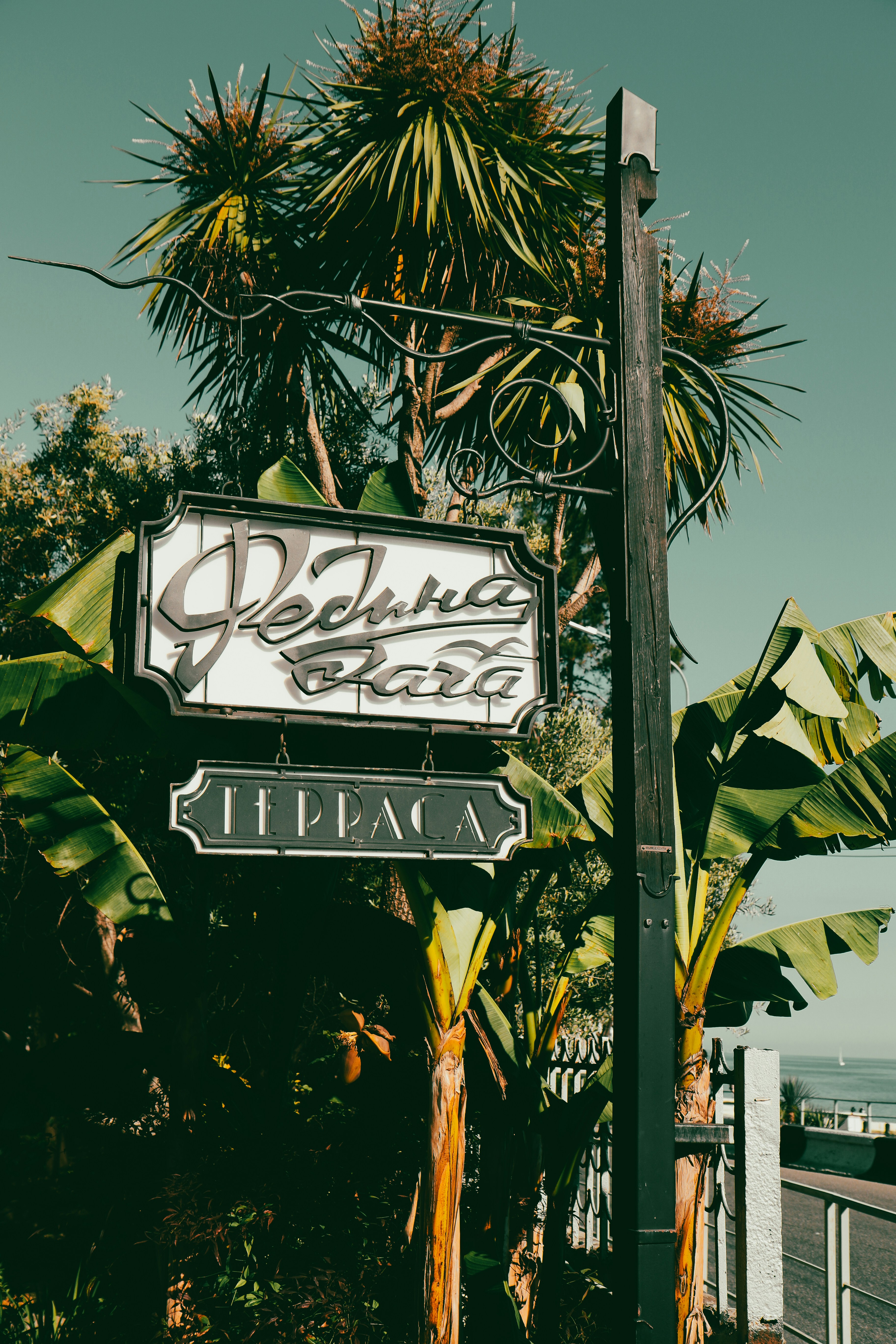 Coastal Signage Framed by Palms and a Sea-Breeze Vista