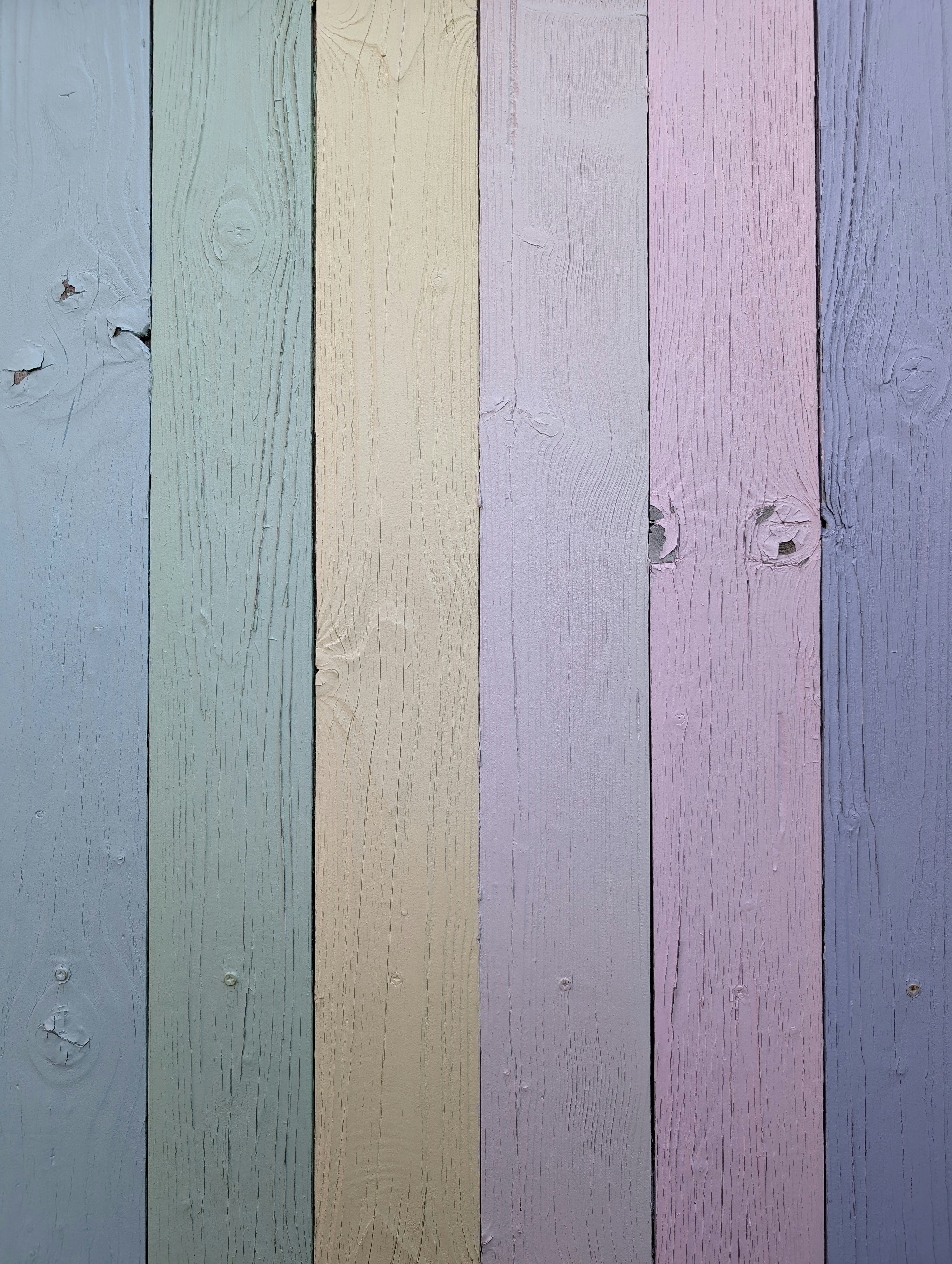 Sample photo from Google Pixel 8