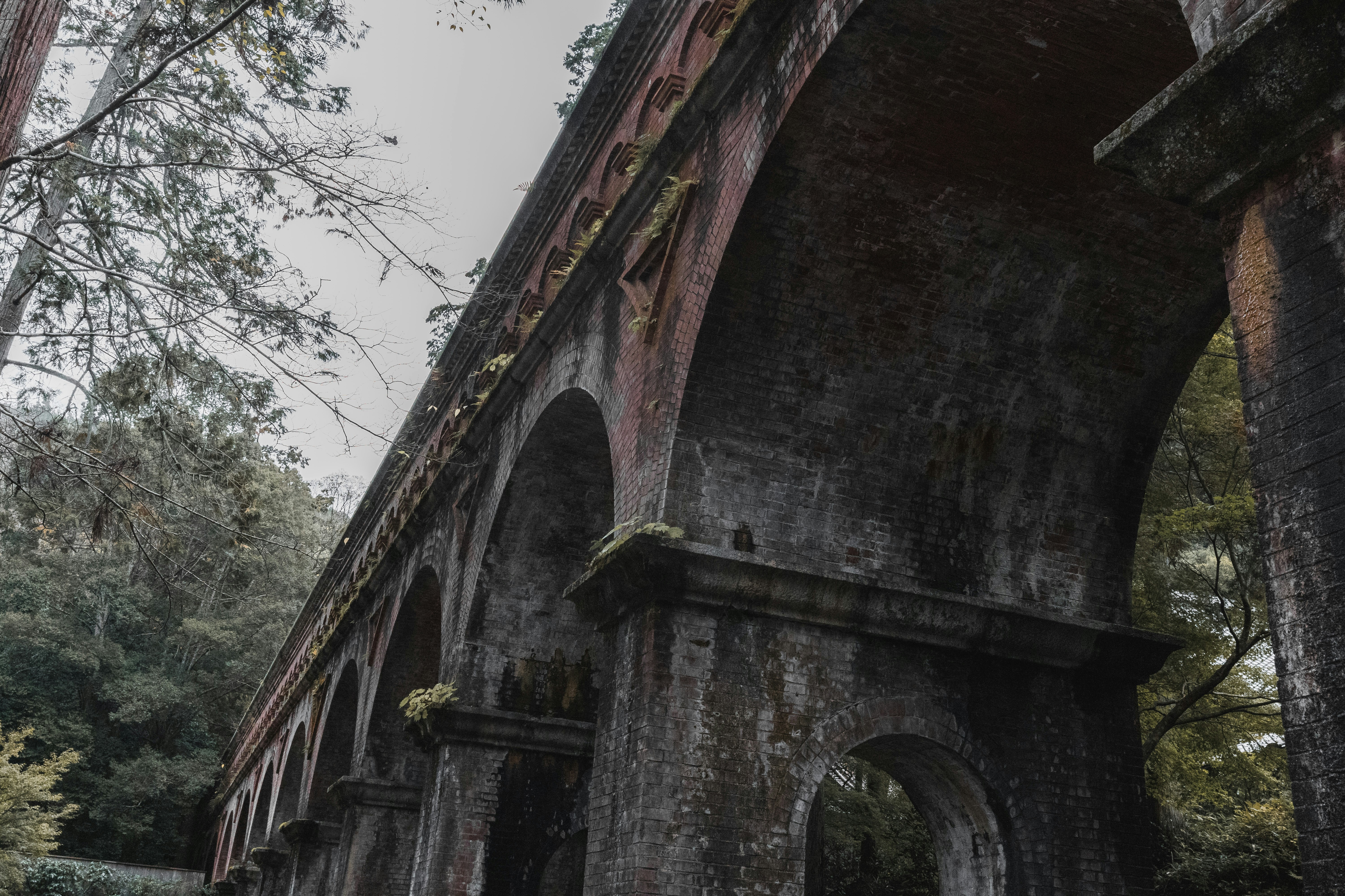A very old bridge that has some trees in it photo – Free Japan Image on ...
