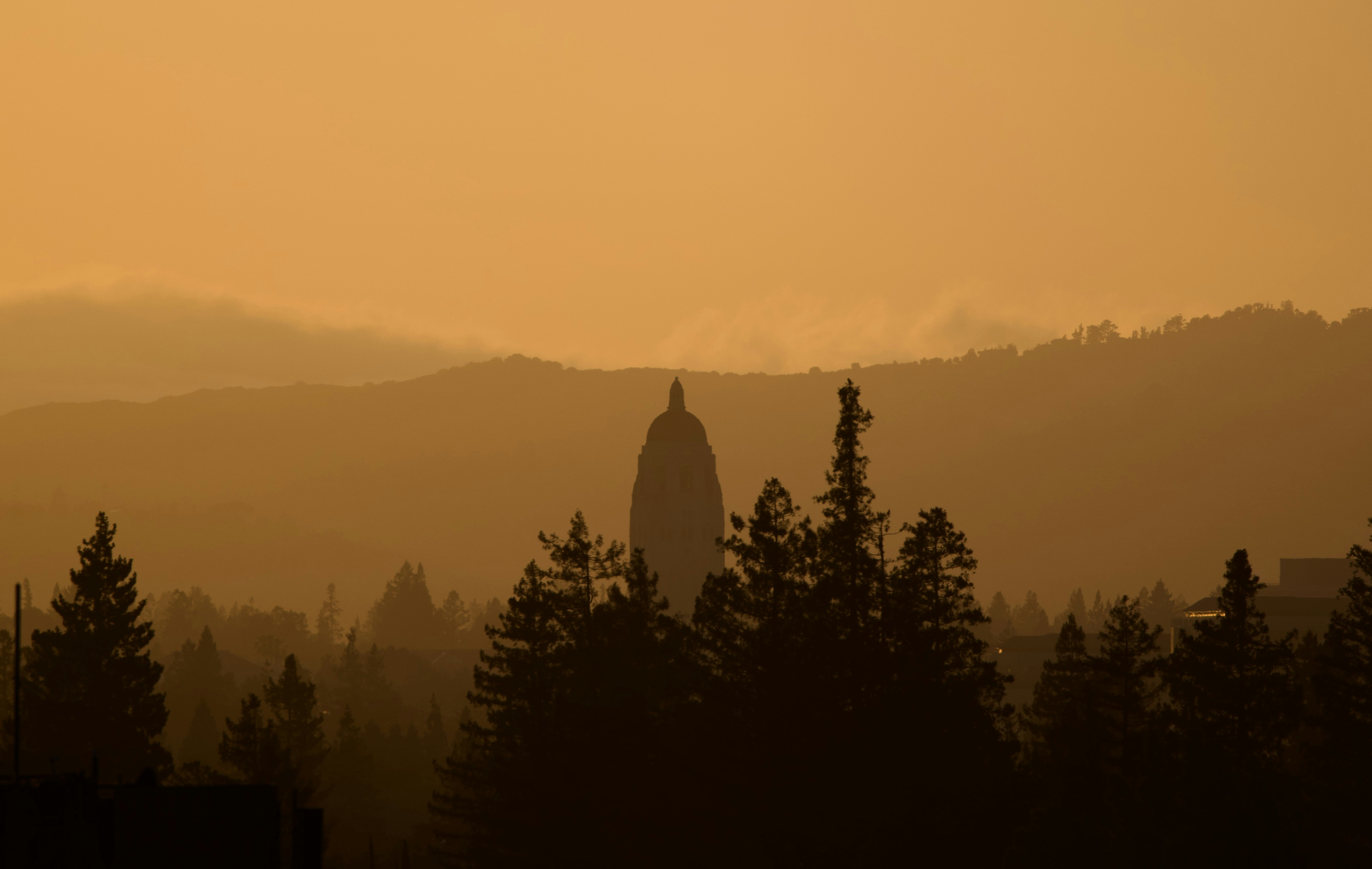Dusk Silhouette: A distant domed spire rising above pine silhouettes