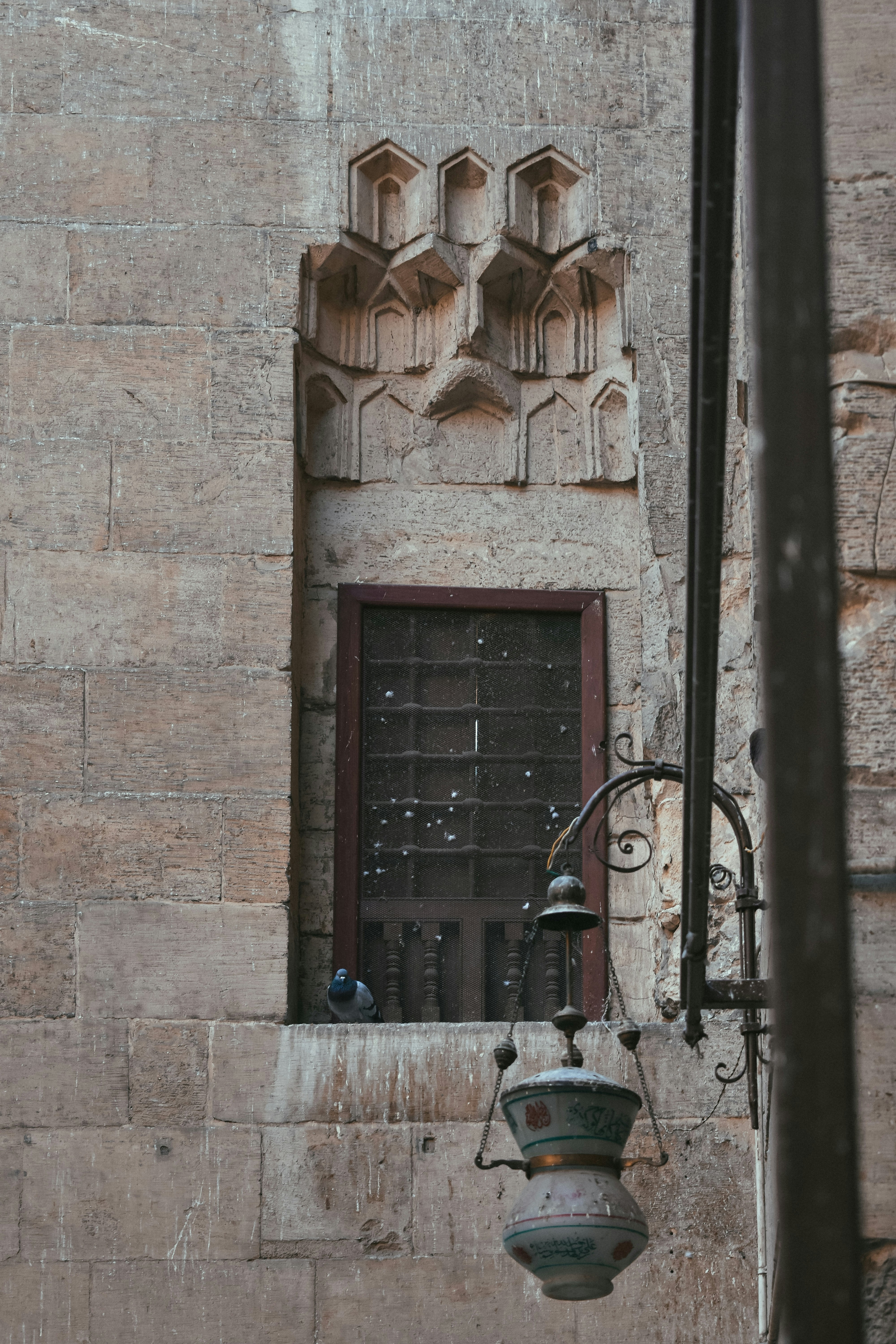 Lone blue bird on a weathered stone façade beneath a carved window