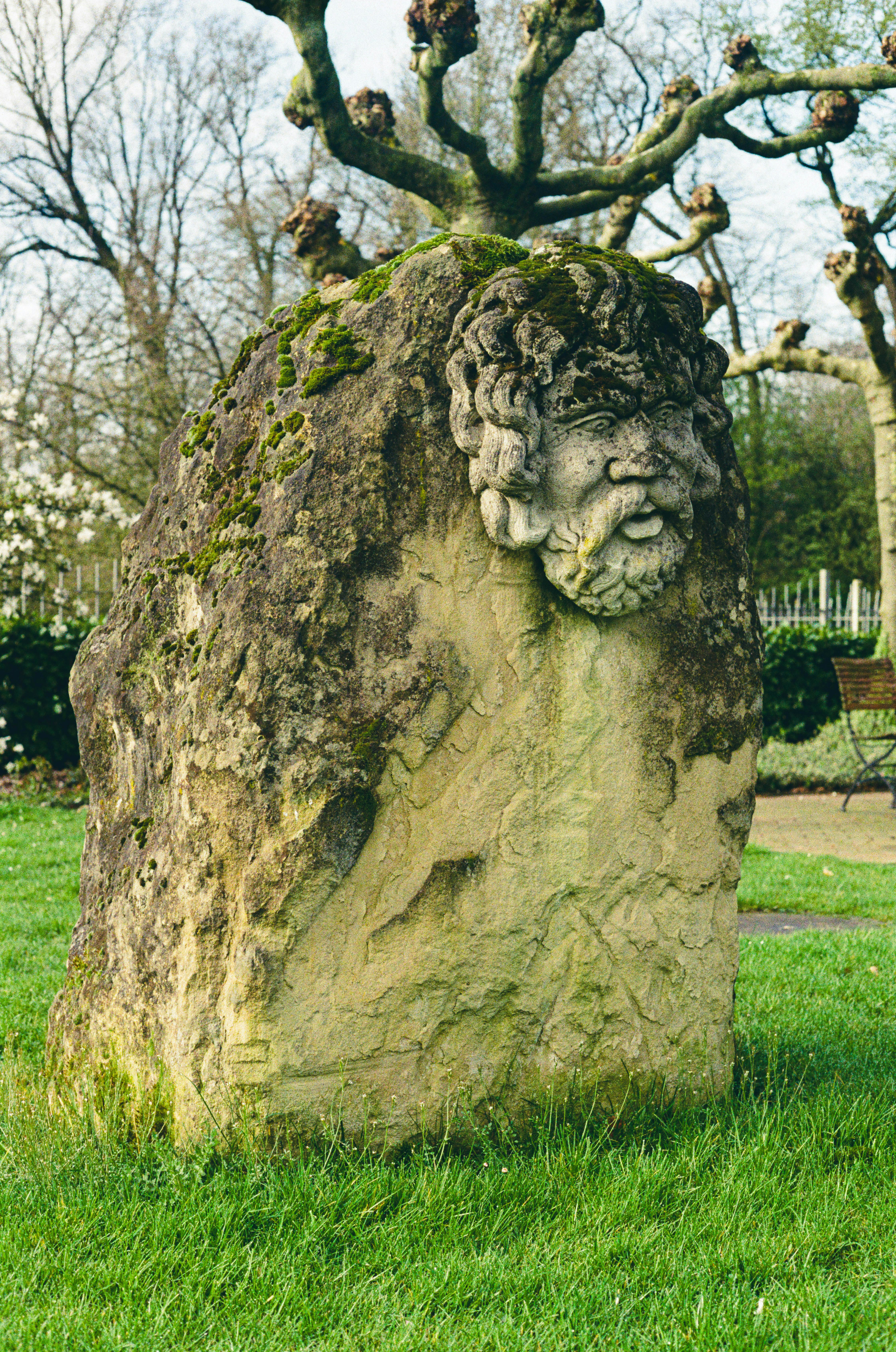 Moss-covered rock bearing a weathered carved-face sits in a sunlit park, with grass in the foreground and a bench and leafless trees in the background.
