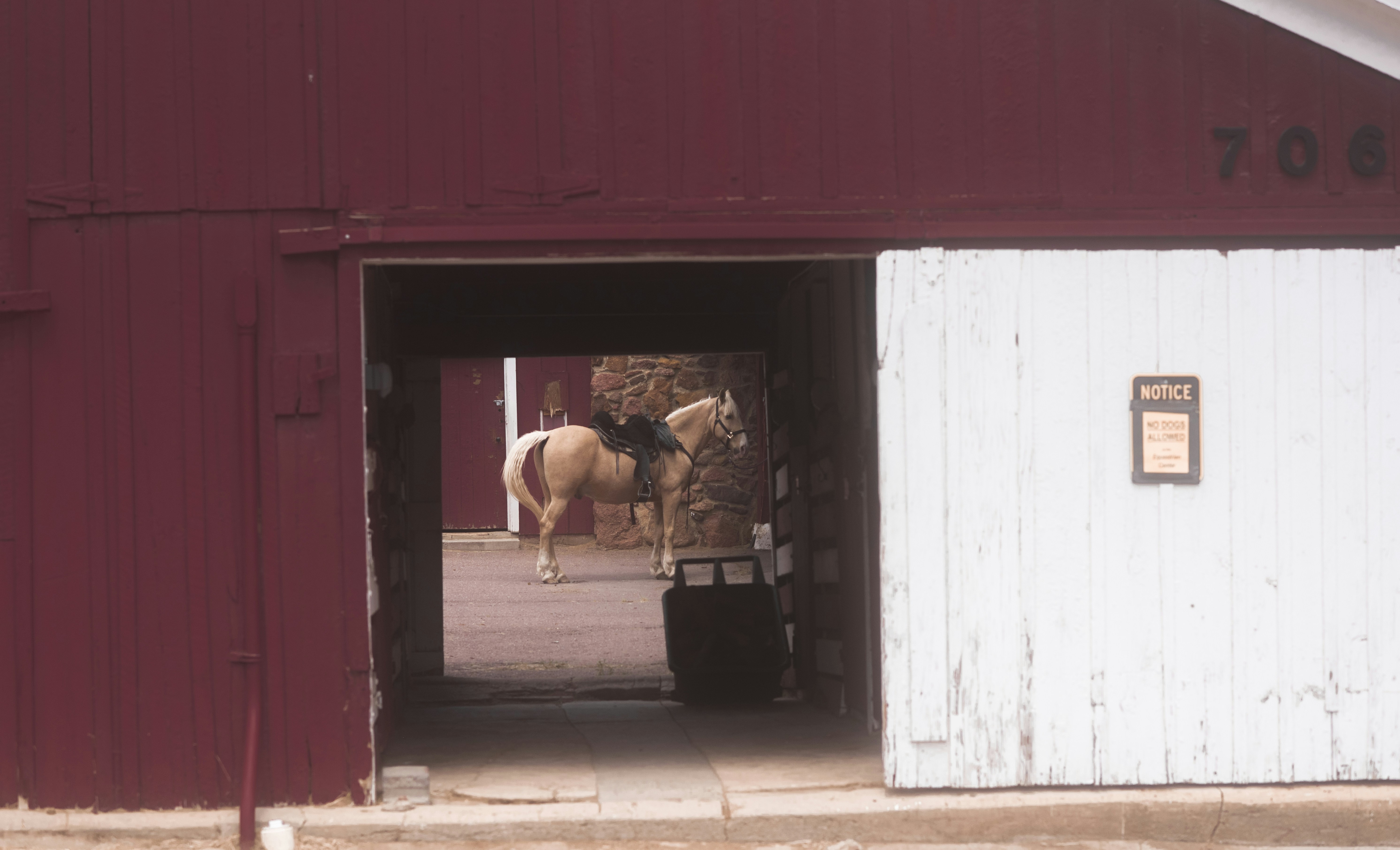 Photo by Taylor Burnfield with Nikon D750