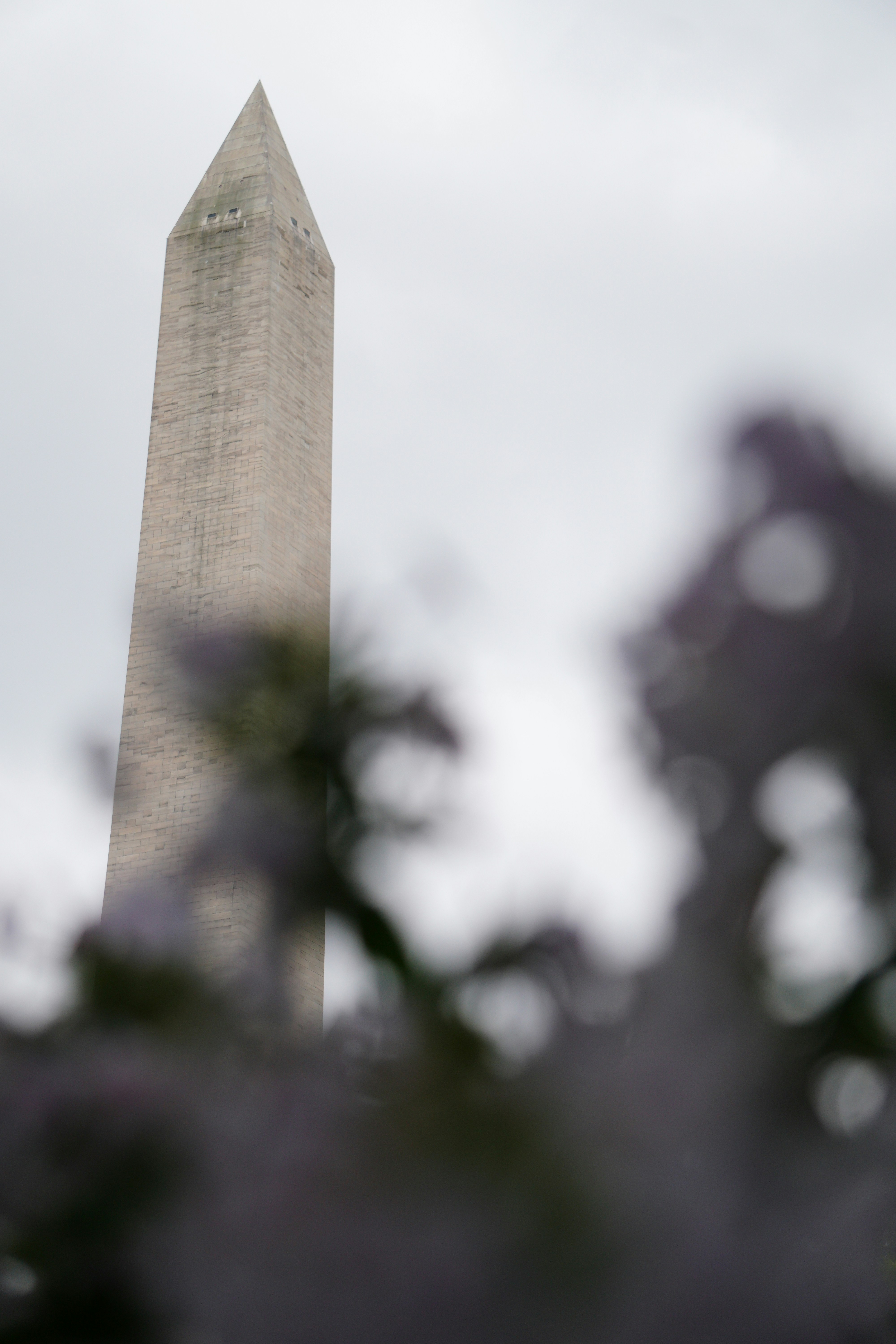 A Towering Tribute Amidst Nature's Embrace