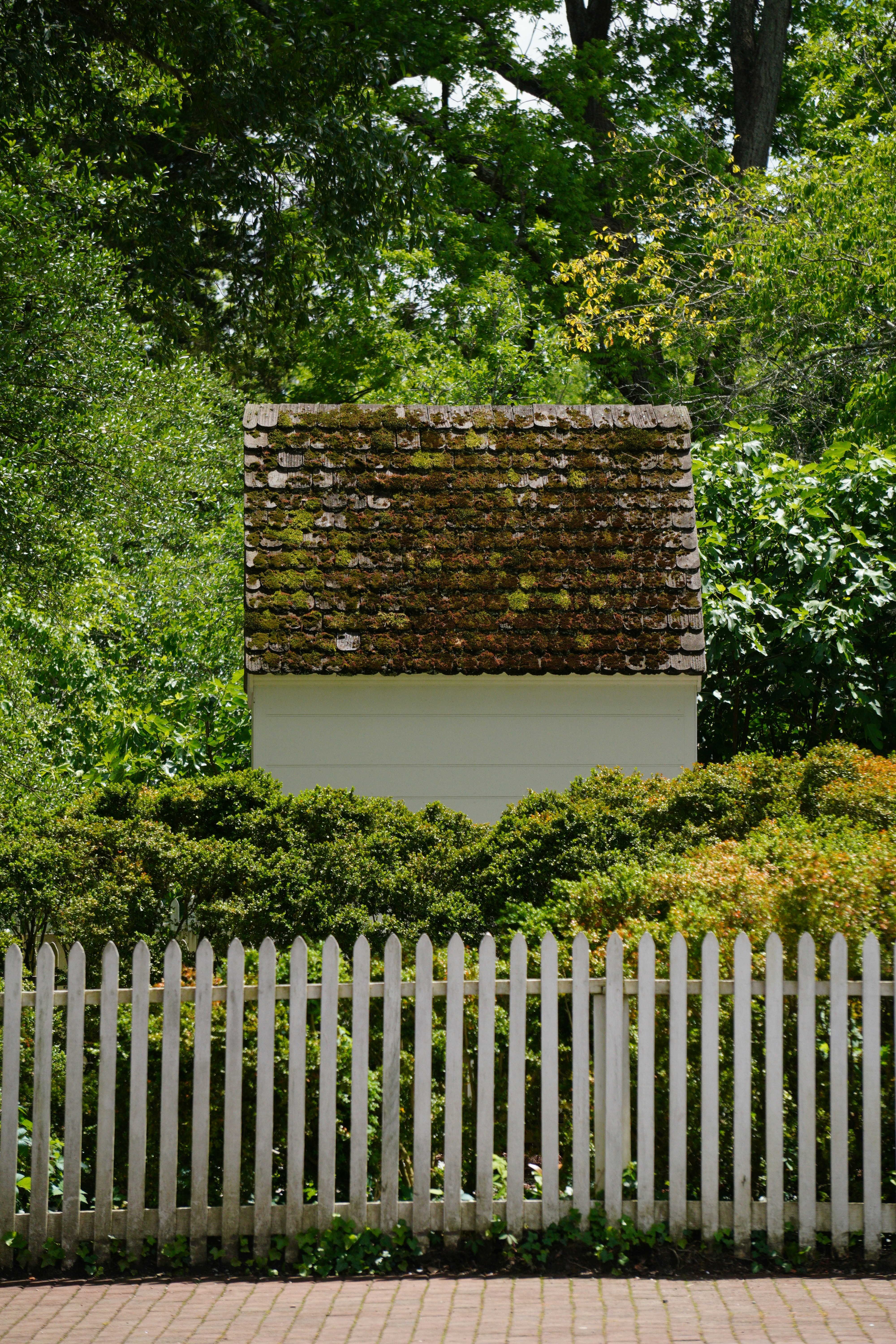 Moss-Kissed Roofed Shed Beyond a Quiet White Picket Fence