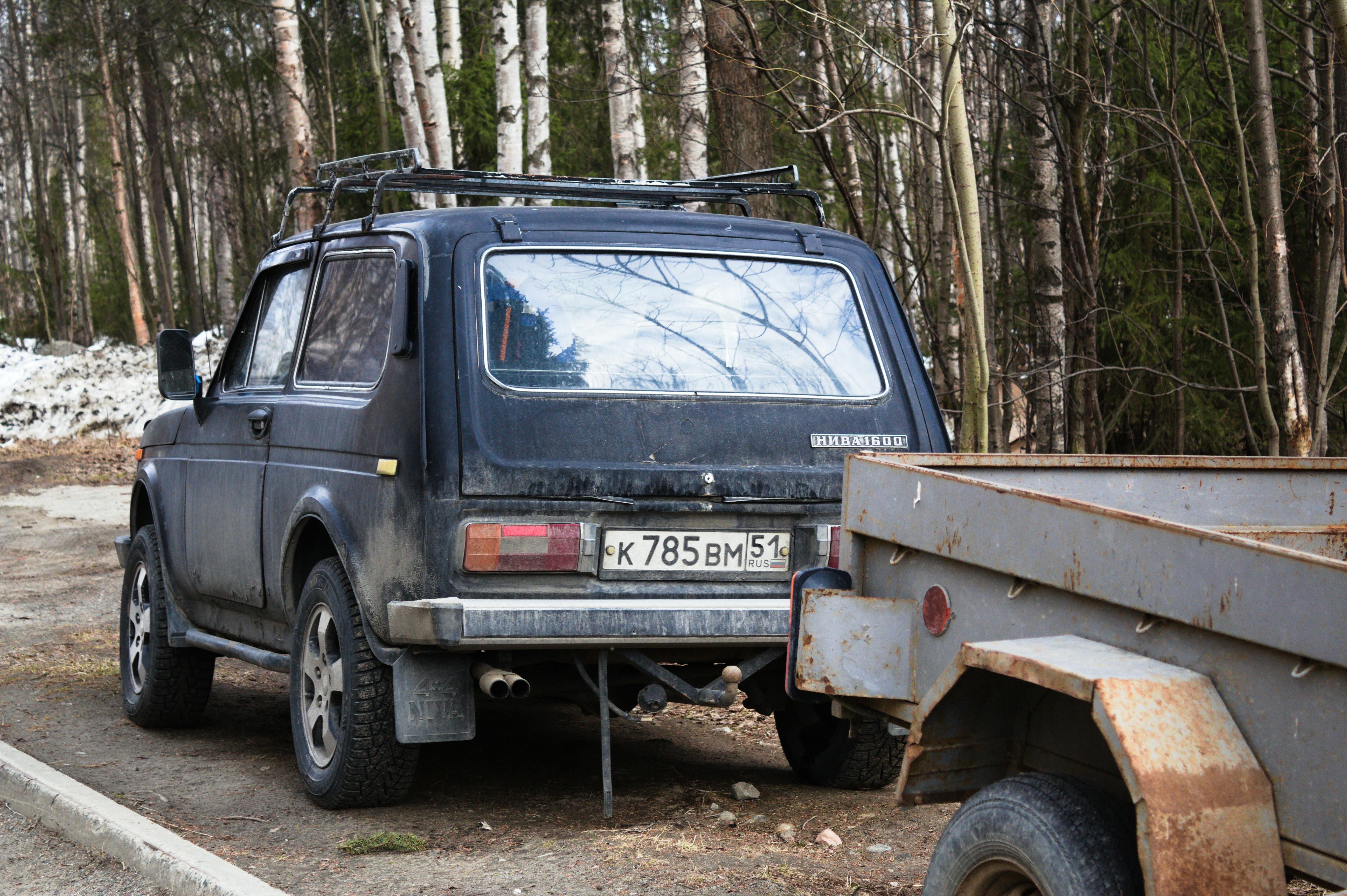 Mud-Streaked SUV by a Rusted Trailer in a Quiet Pine Clearing
