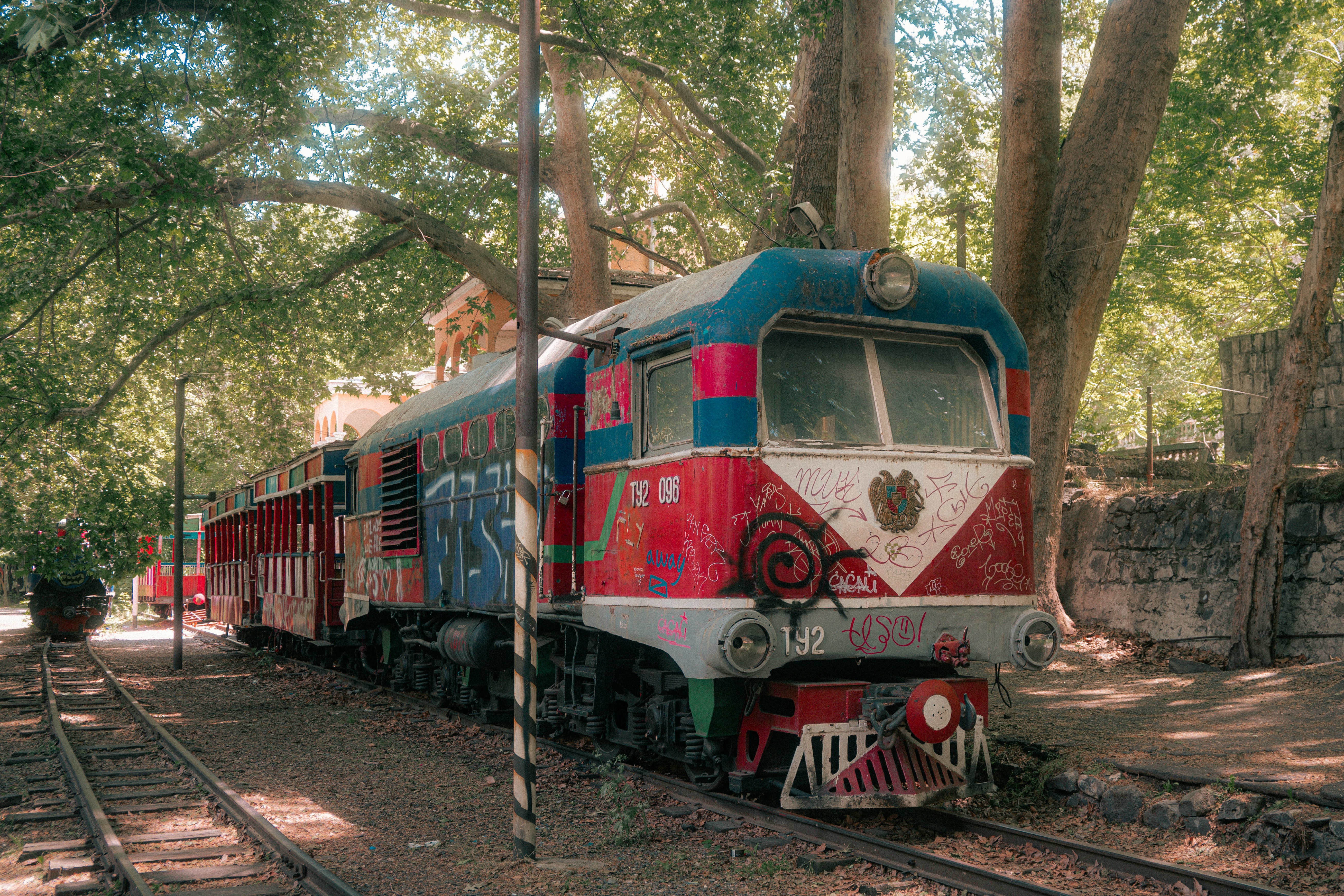 Photo by Dmitriy Galanov with Nikon Zf