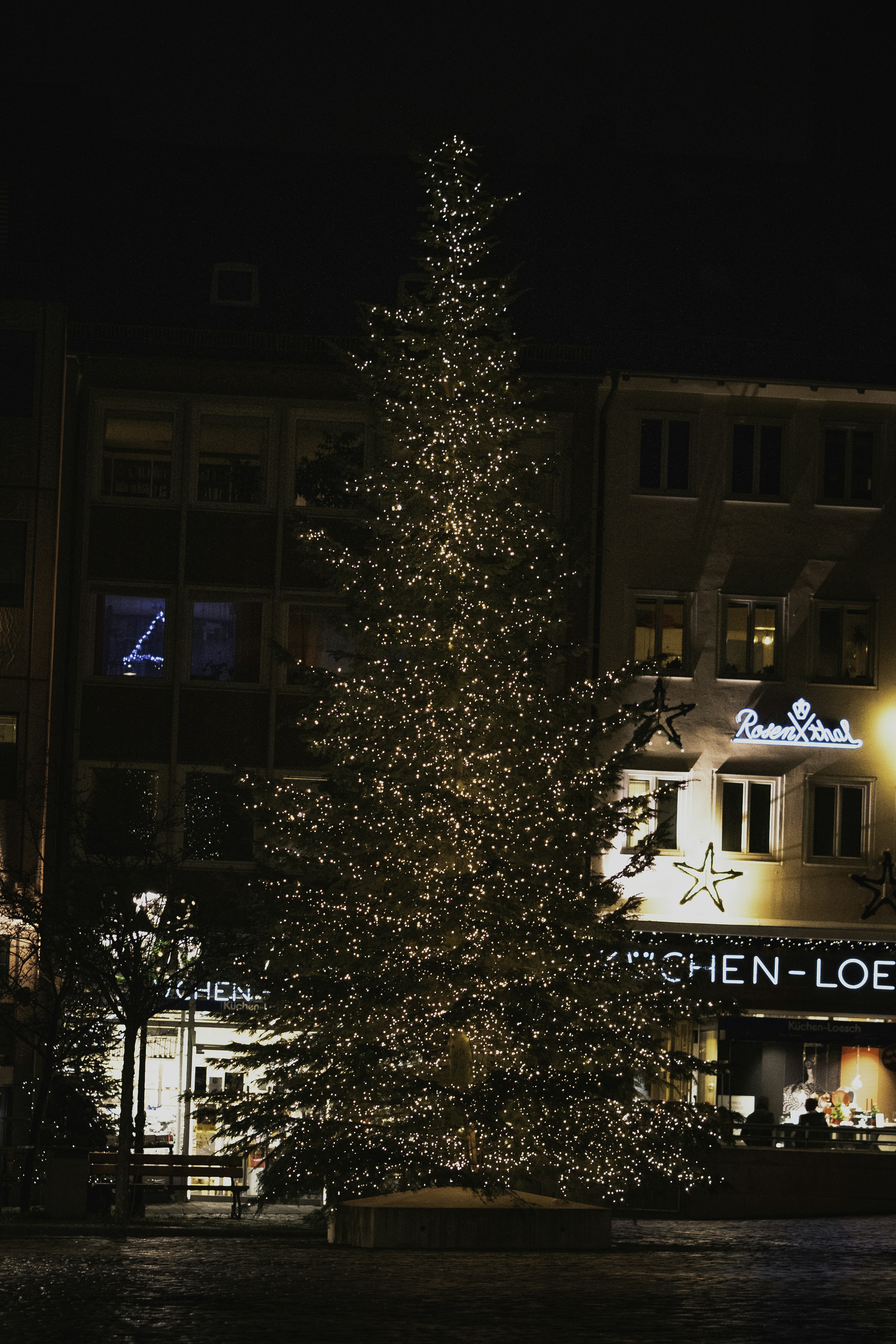 A lit christmas tree in front of a building photo – Free Wallpaper ...