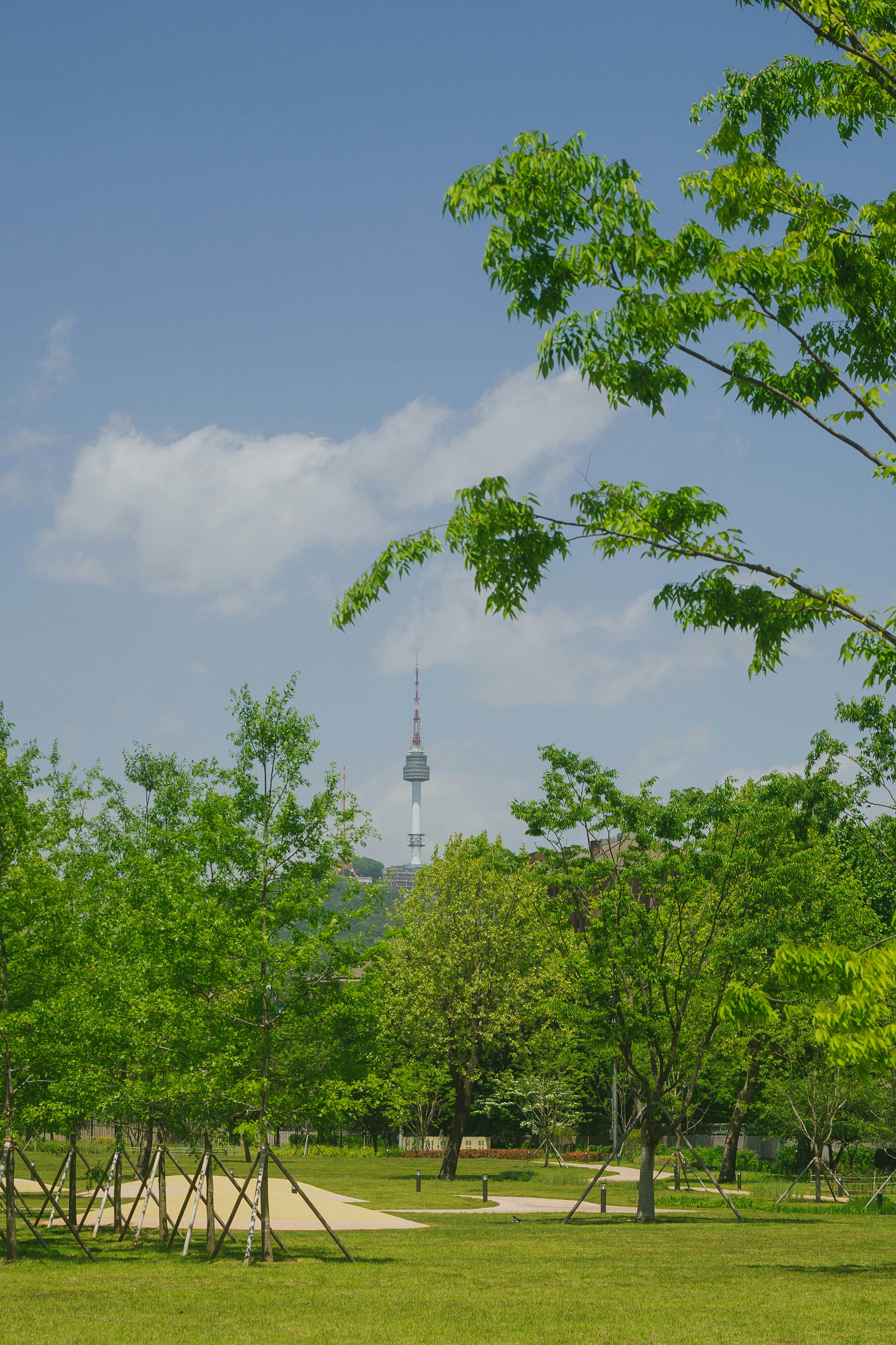 Photo by WS Chae with Sony Alpha 7 II