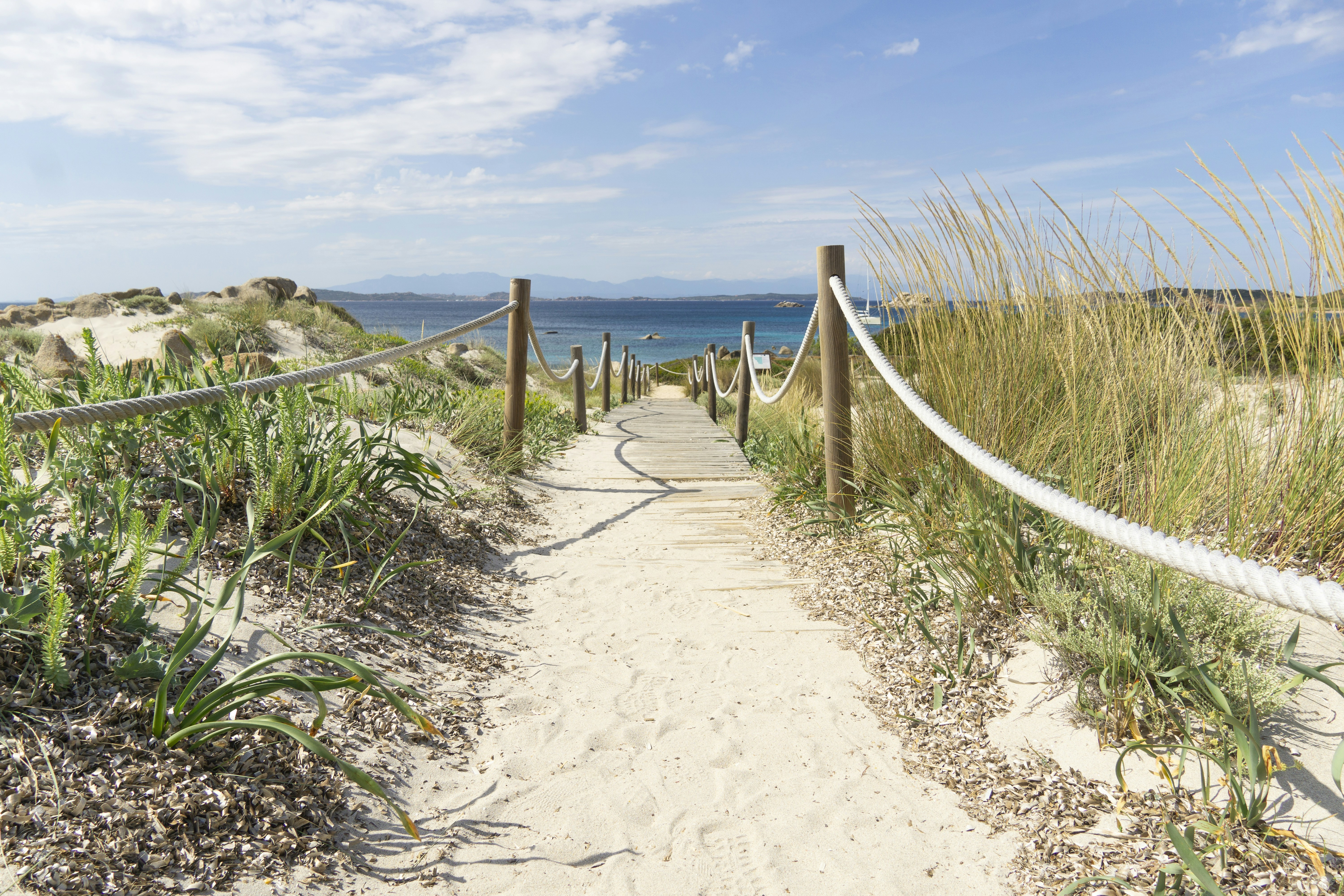 A path leading to the beach leading to the ocean photo – Free Beach ...