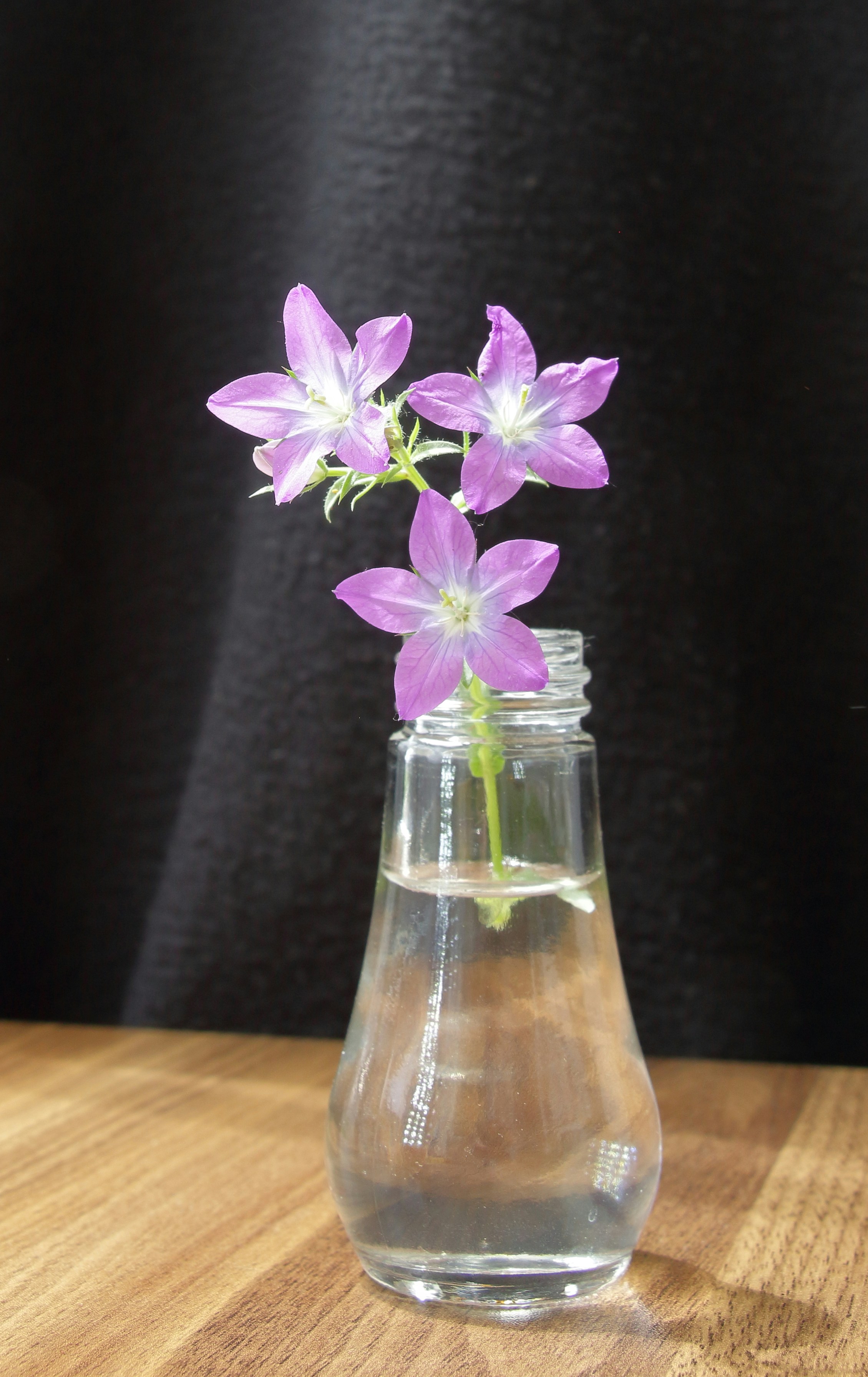 Photo by Mustafa akın with Canon EOS 1300D