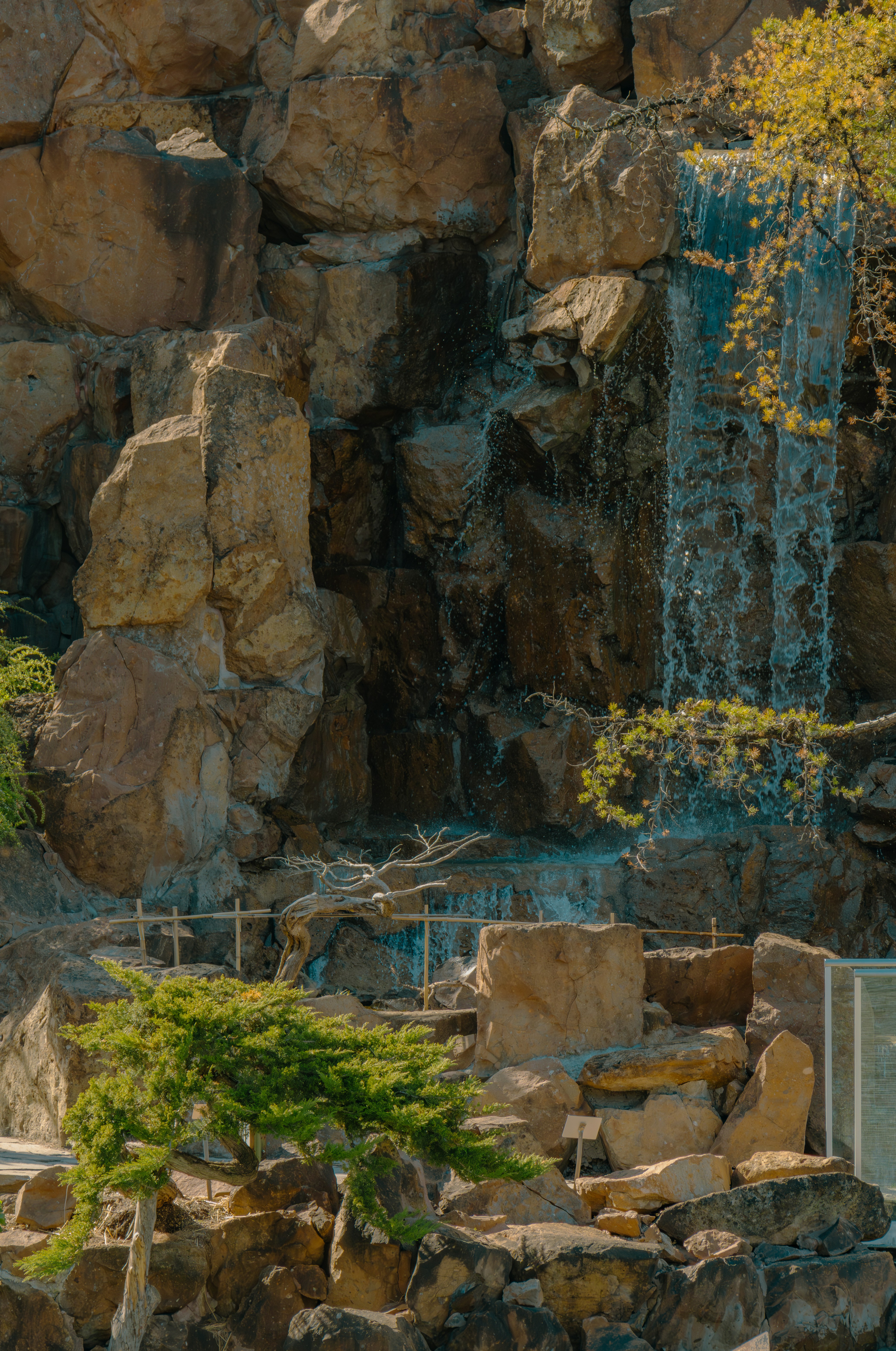 Photo by . abdelkader1001 with Canon EOS R7