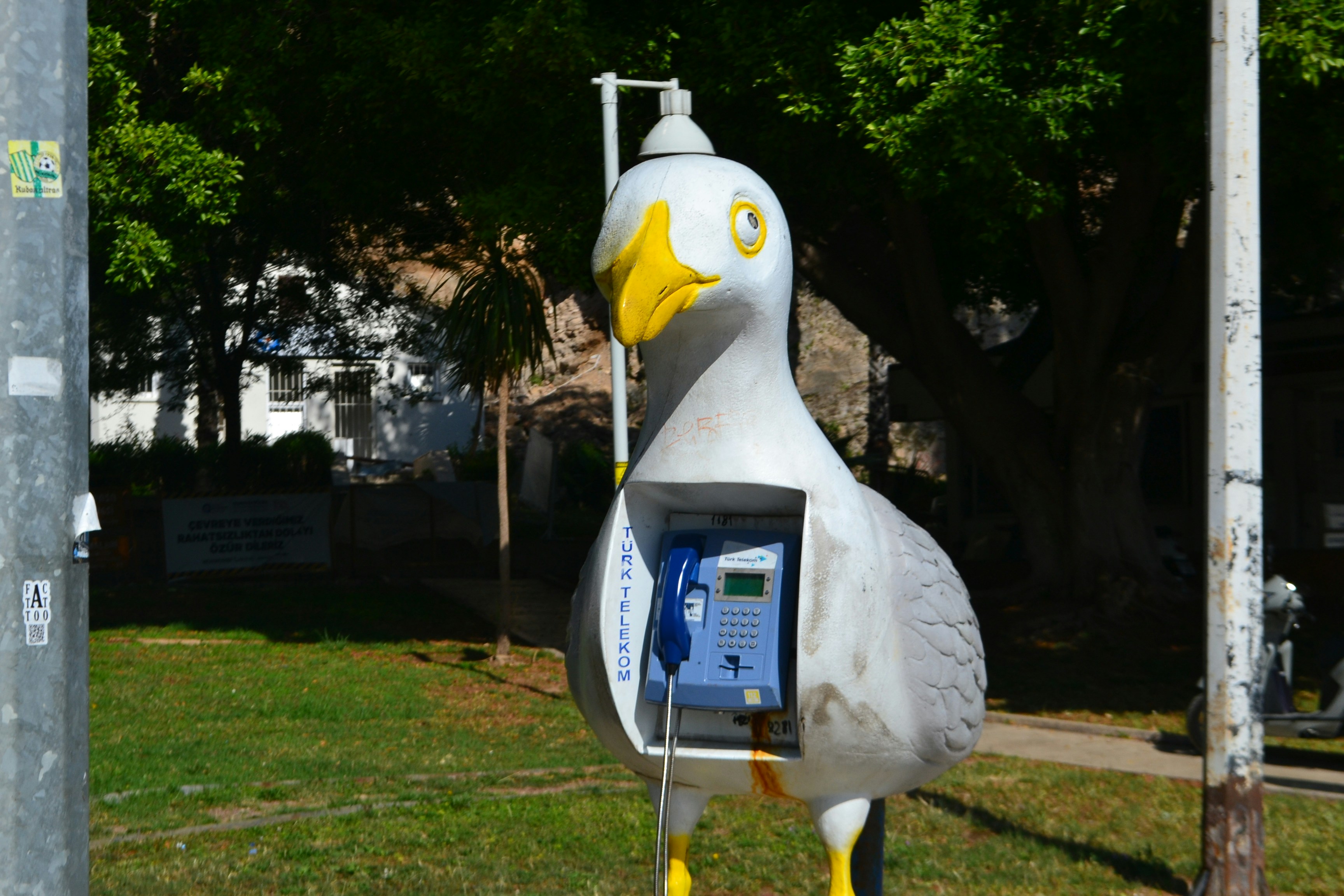 Photo by liliia with Nikon D3100