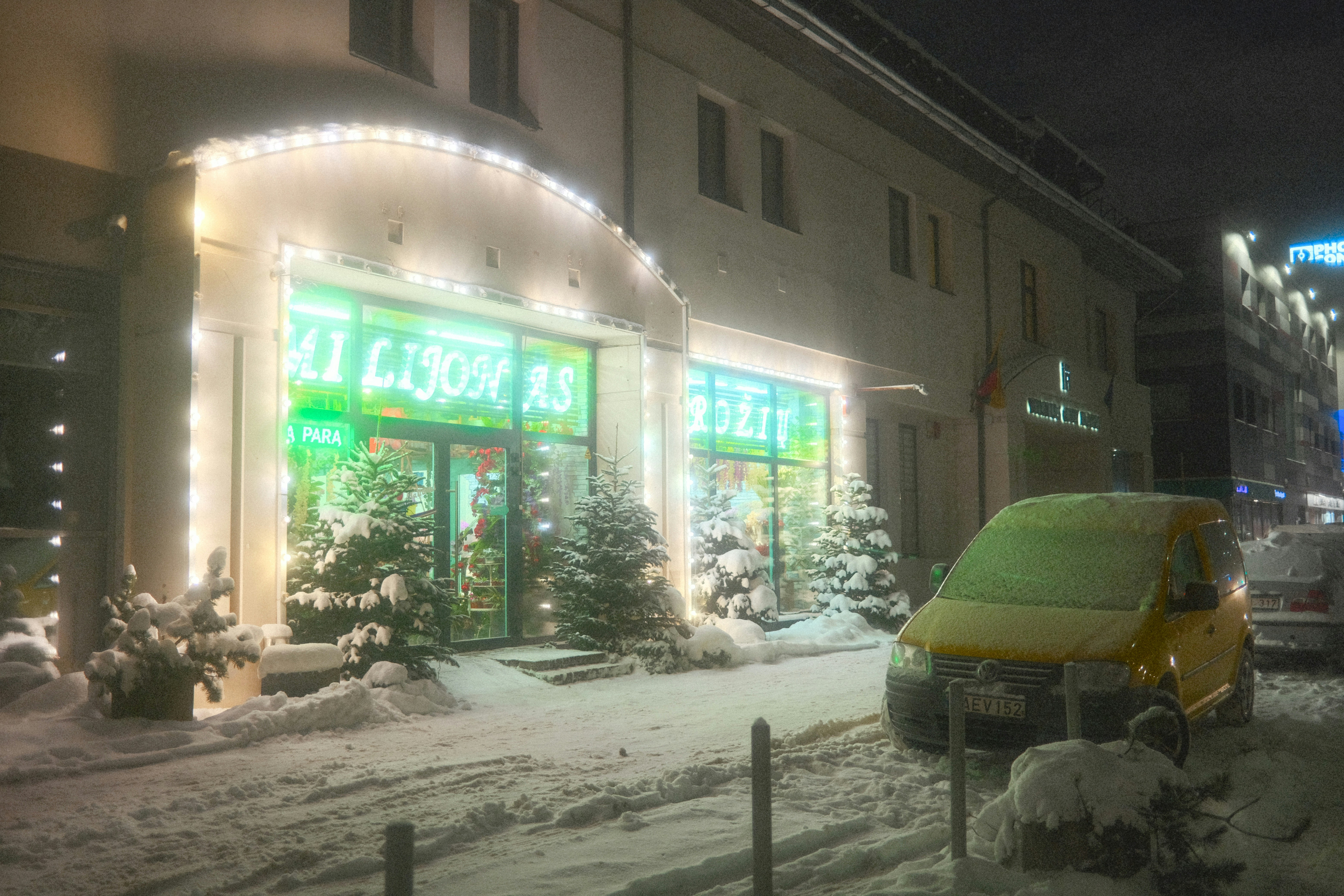 Antoni Silvestrovič (@bring_shrubbery) | Komunitas Foto Unsplash