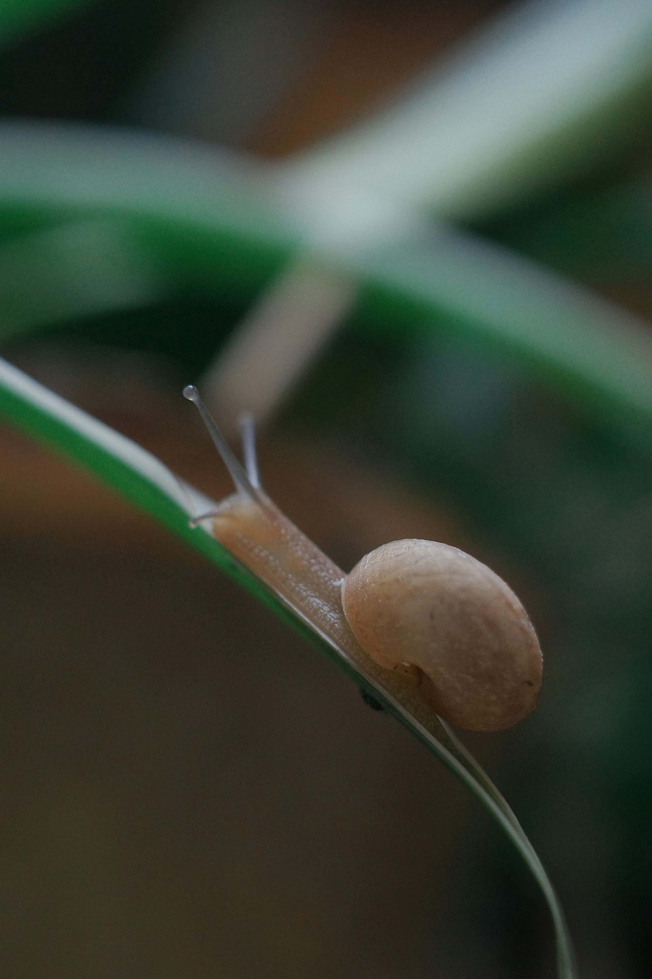 Photo by 蔡 世宏 with Ricoh GR III