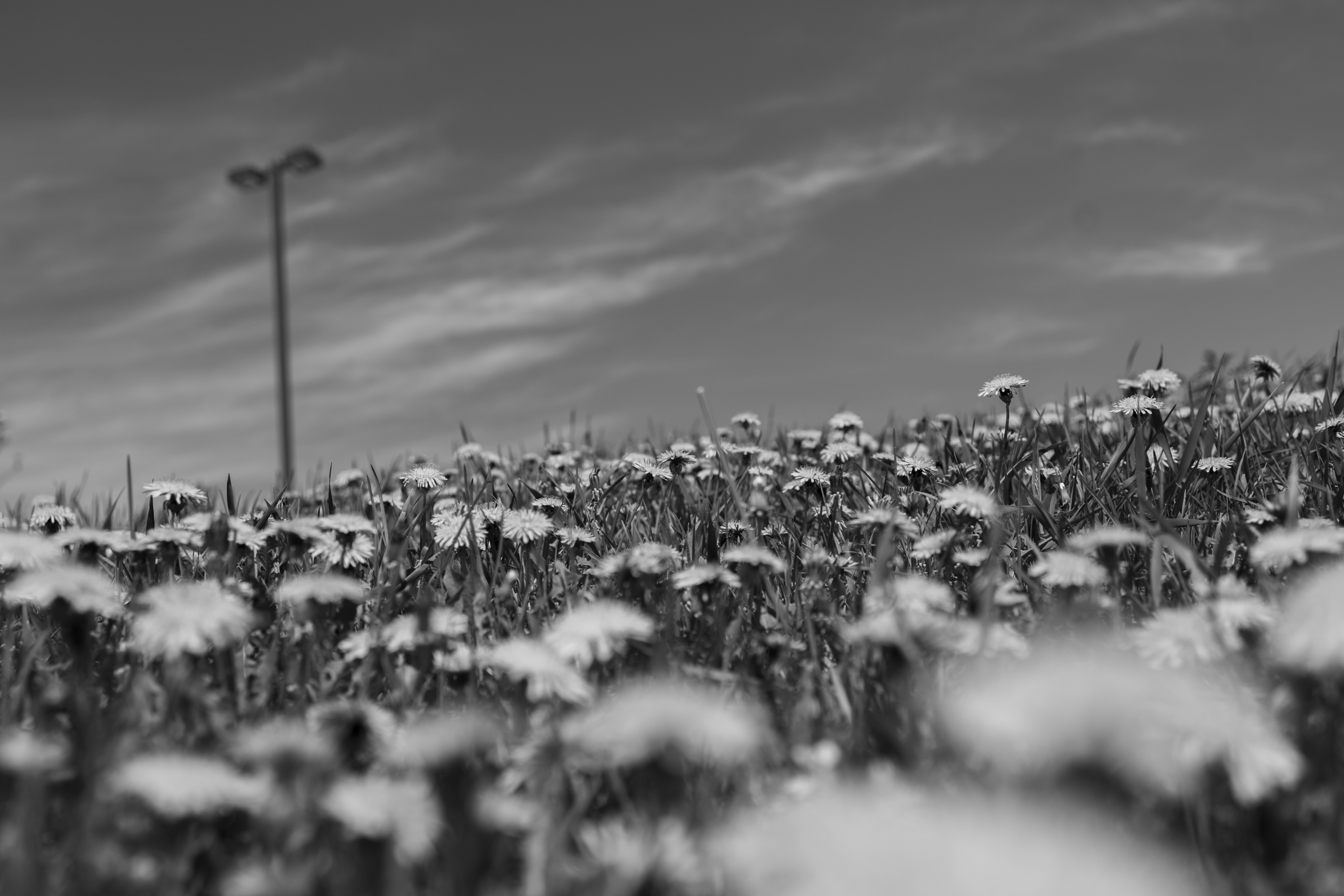 Photo by A M with Canon EOS RP